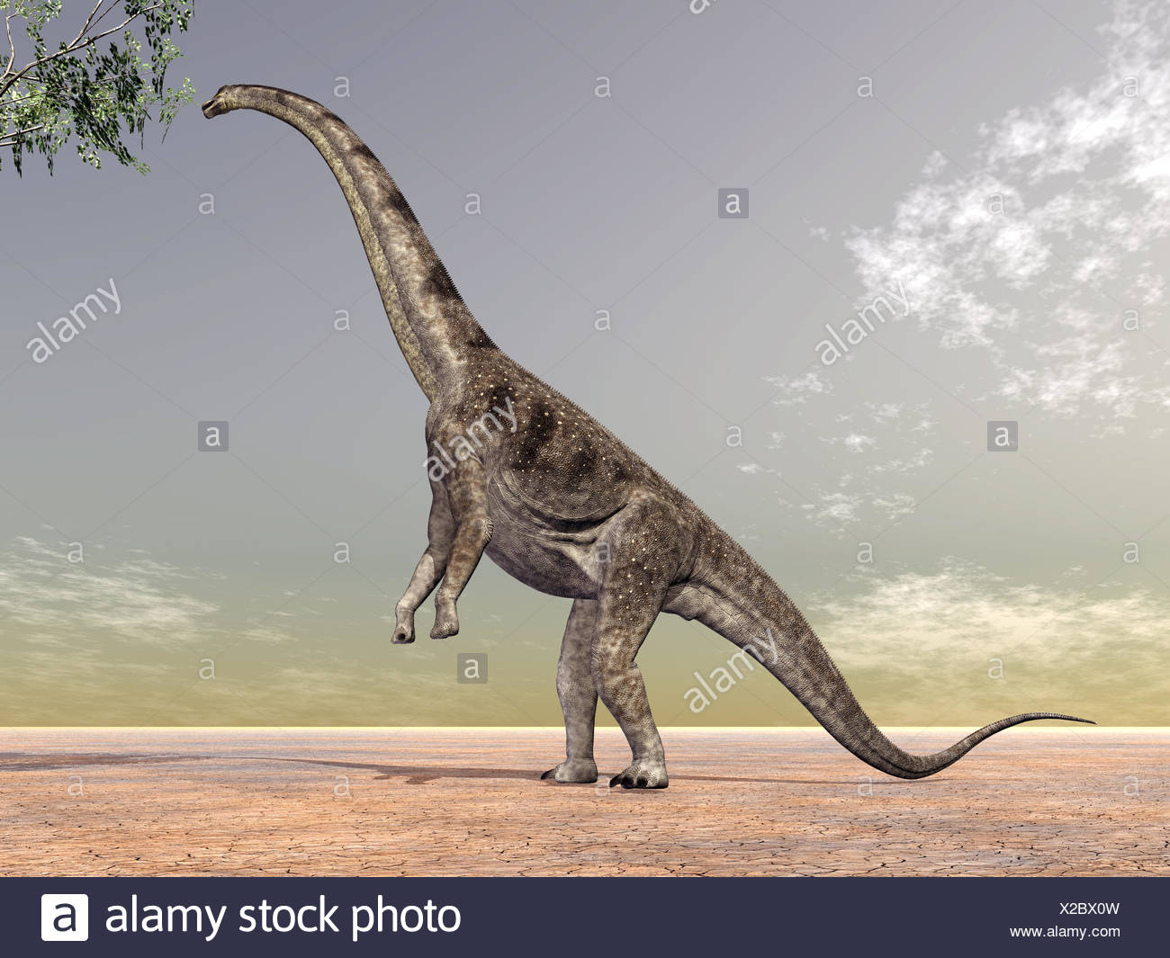 Puertasaurus High Resolution Stock Photography and Images - Alamy
