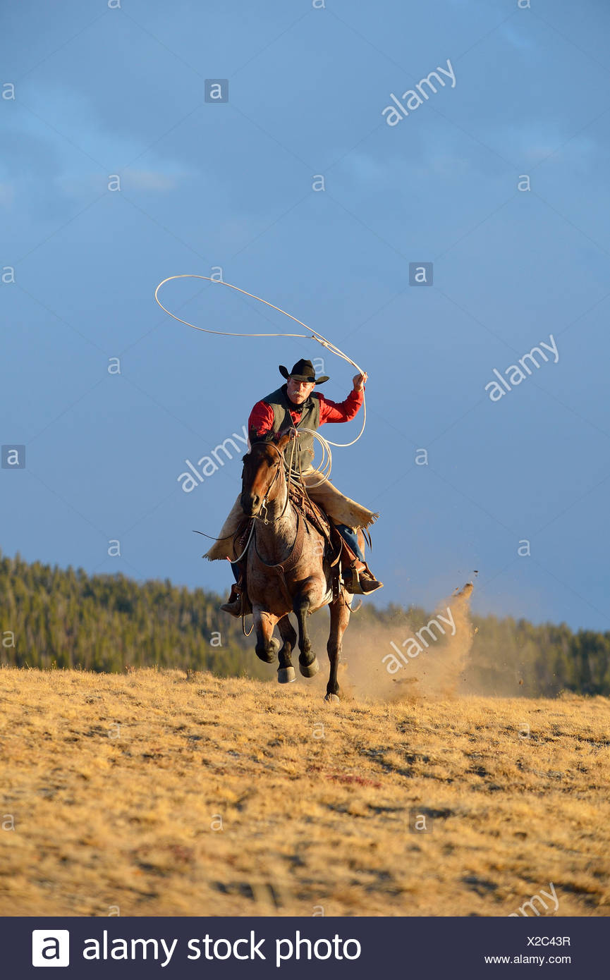 Cowboy With Lasso High Resolution Stock Photography and Images - Alamy