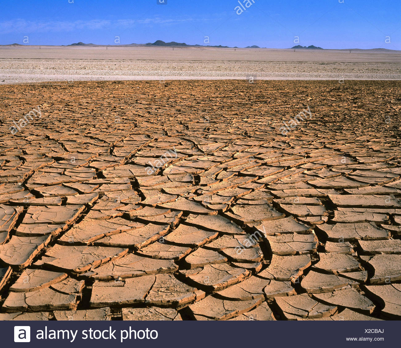 Life Hostilely High Resolution Stock Photography and Images - Alamy