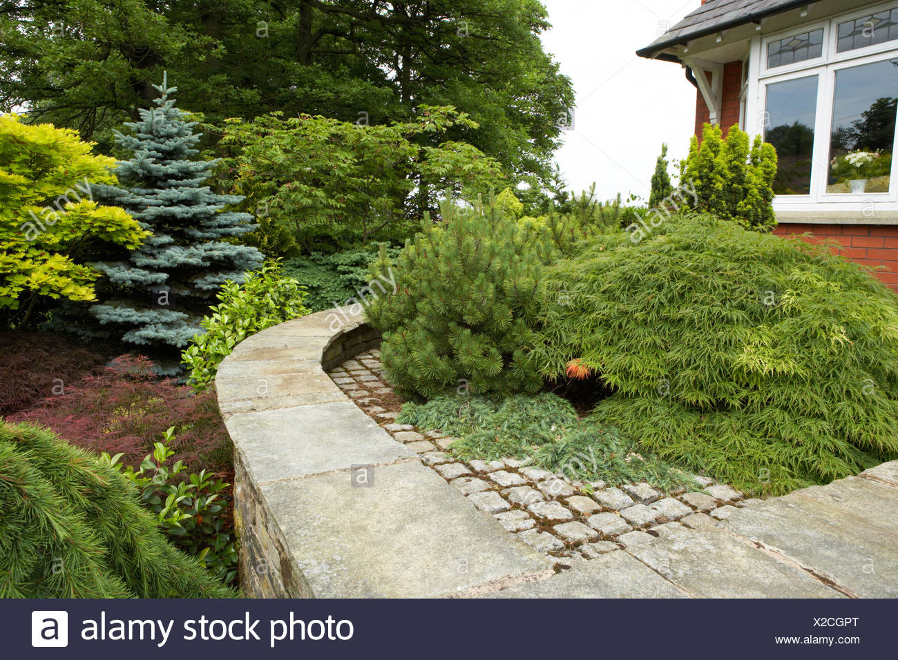 Conifers Garden High Resolution Stock Photography and Images - Alamy