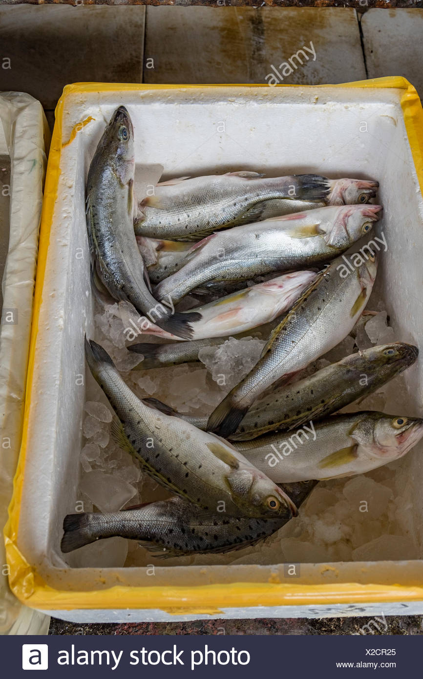 Fish Market In Shanghai China Stock Photos & Fish Market In Shanghai ...