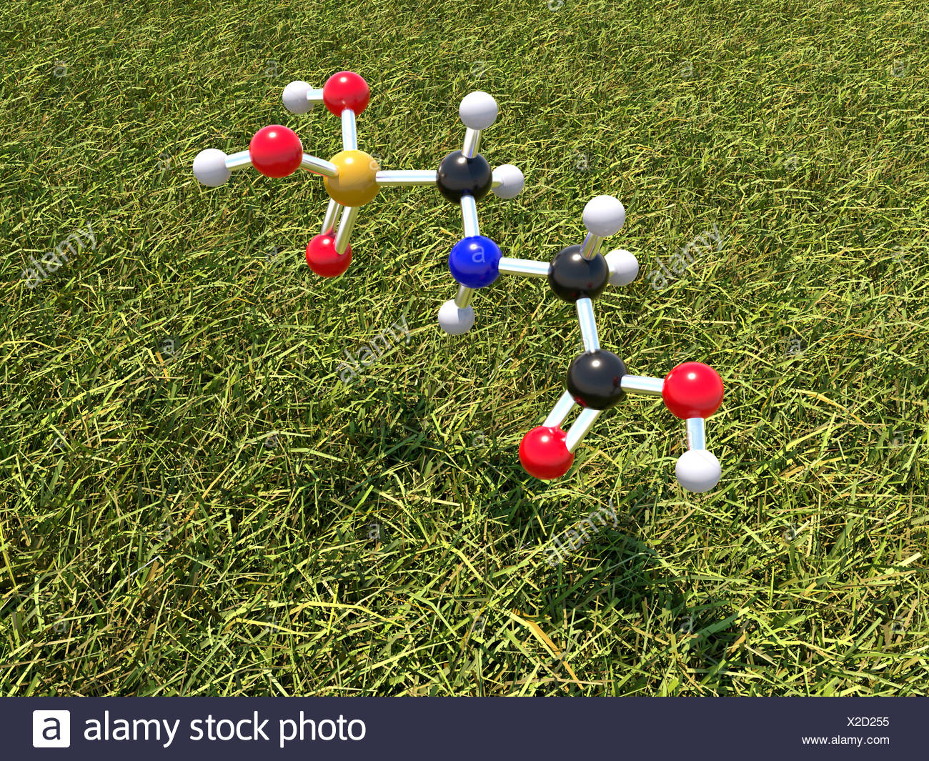 Glyphosate Crop High Resolution Stock Photography and Images - Alamy