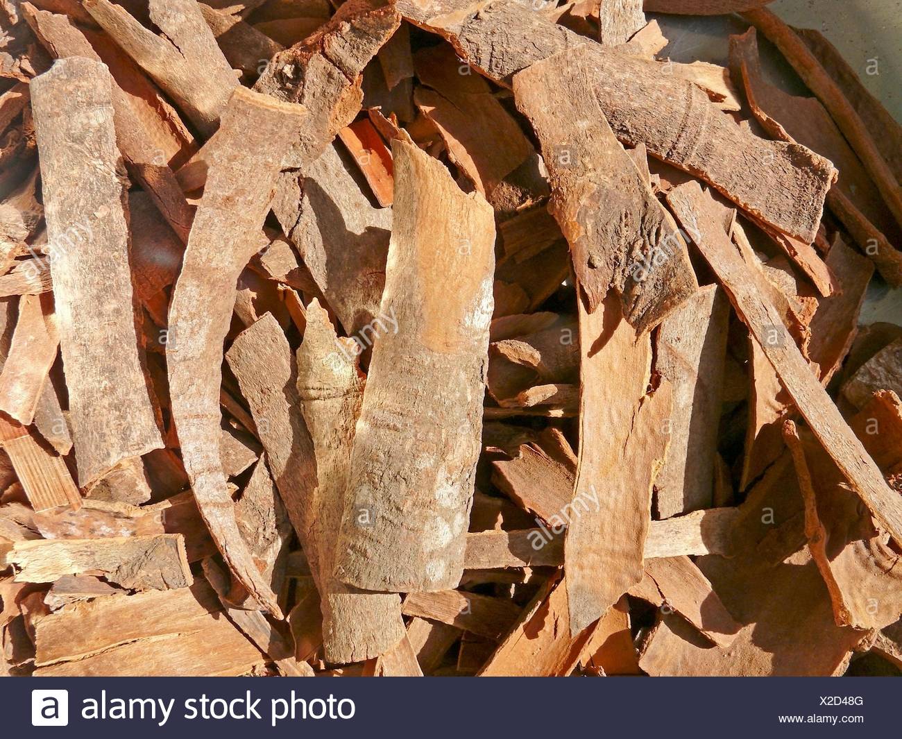 Thick Bark High Resolution Stock Photography and Images - Alamy