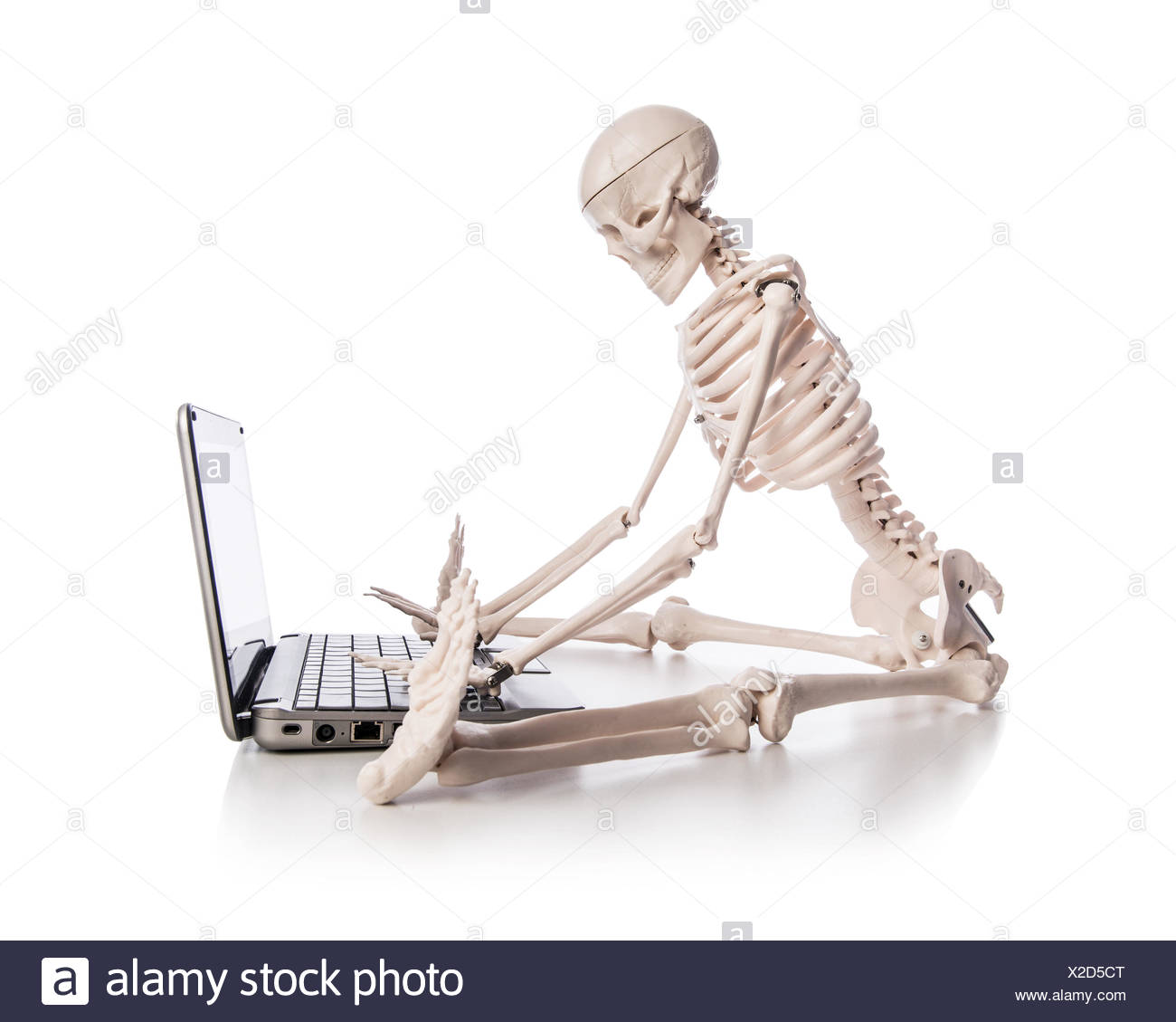 Skeleton Working On Laptop Stock Photos & Skeleton Working On Laptop ...