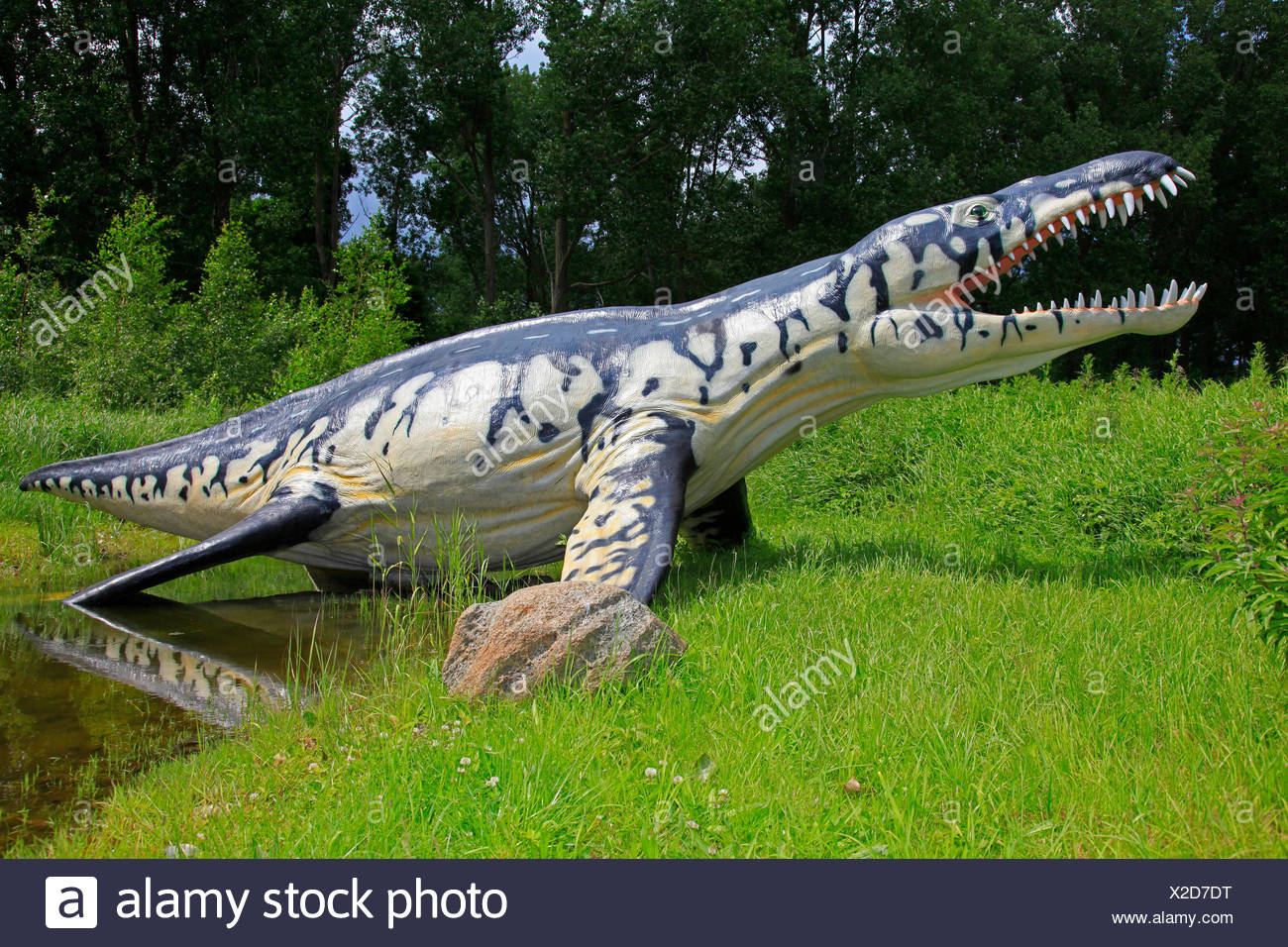 Plesiosauria Stock Photos & Plesiosauria Stock Images - Alamy