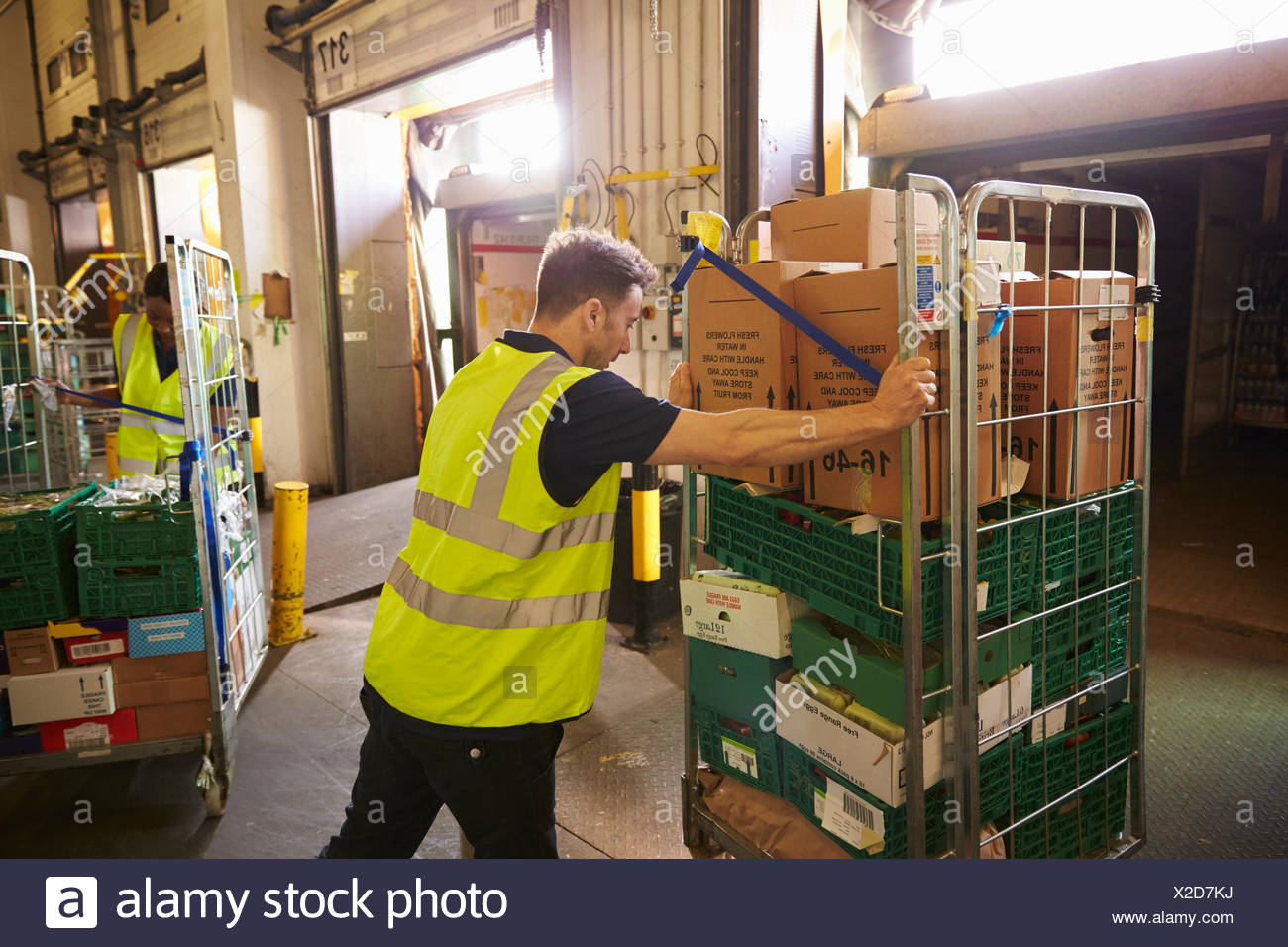 Roll Cage Stock Photos & Roll Cage Stock Images - Alamy