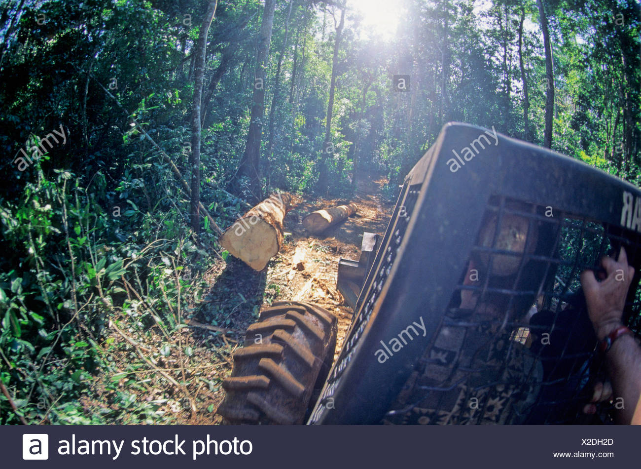 Pulling Trees High Resolution Stock Photography and Images - Alamy