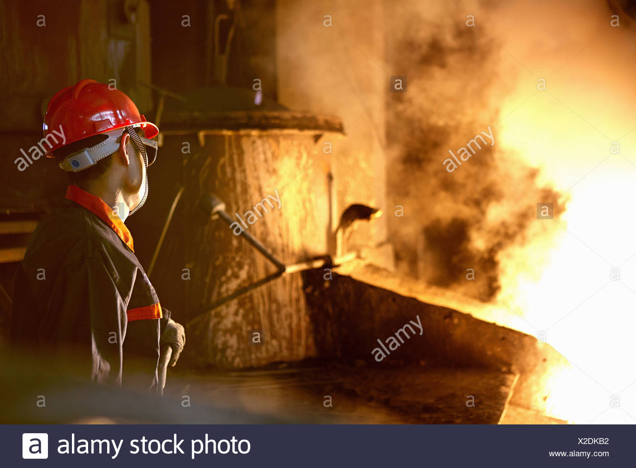 Cast Iron Plant High Resolution Stock Photography and Images - Alamy