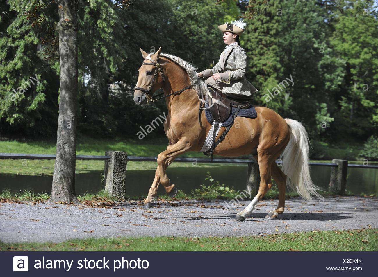 Reiterin High Resolution Stock Photography and Images - Alamy