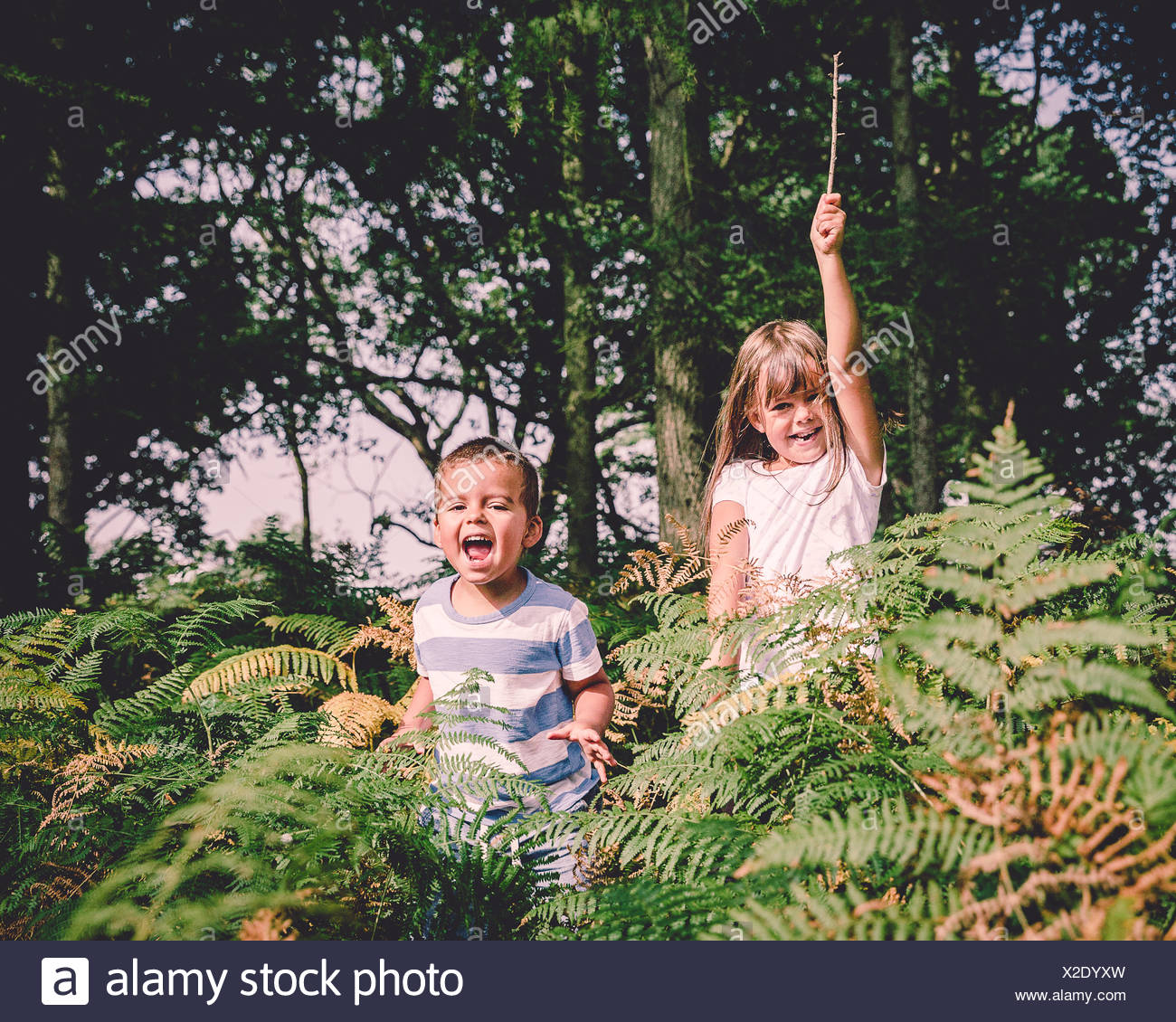 Children Playing In The Woods High Resolution Stock Photography and ...