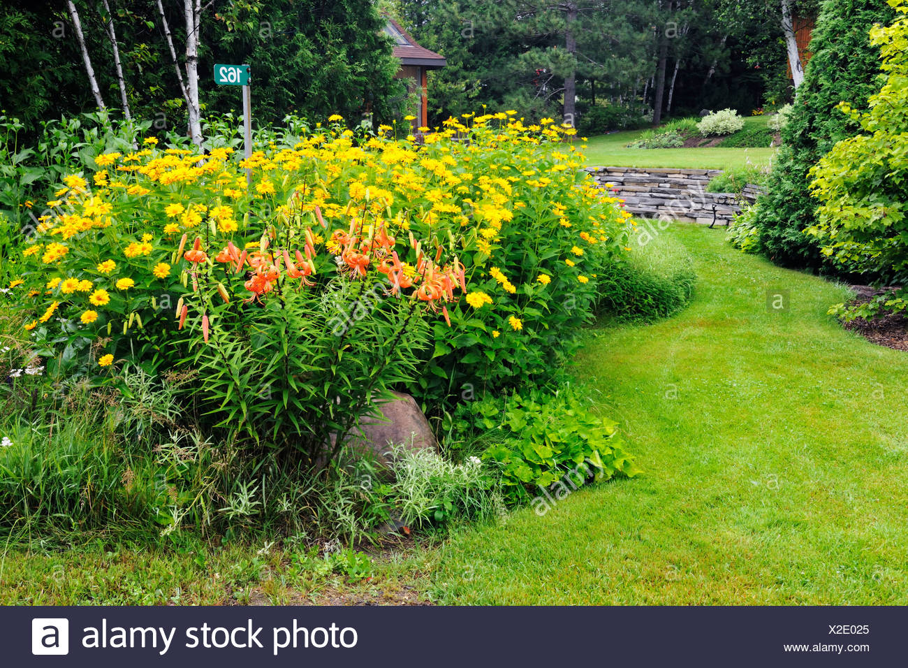 Naturalized Backyard Stock Photos & Naturalized Backyard Stock Images ...