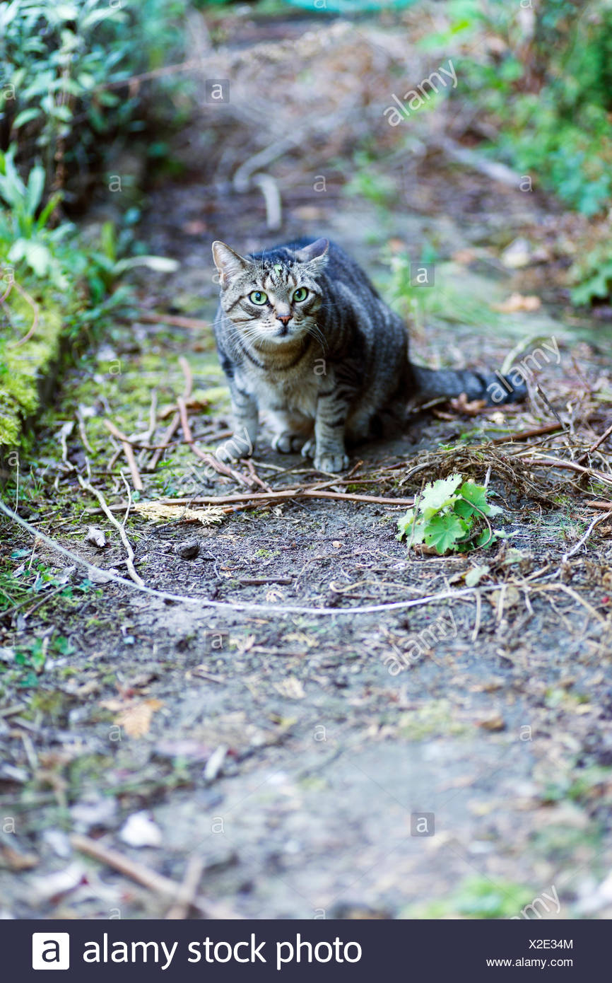 Cautious Stock Photos & Cautious Stock Images - Alamy
