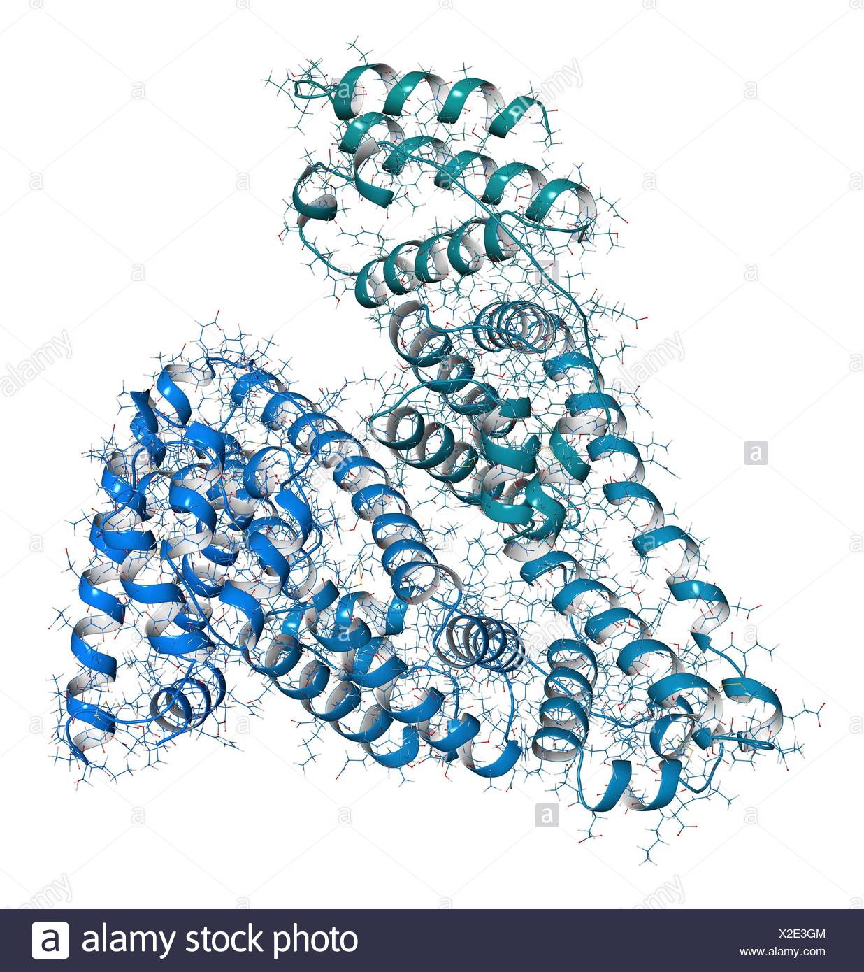 Human Serum Albumin High Resolution Stock Photography and Images - Alamy