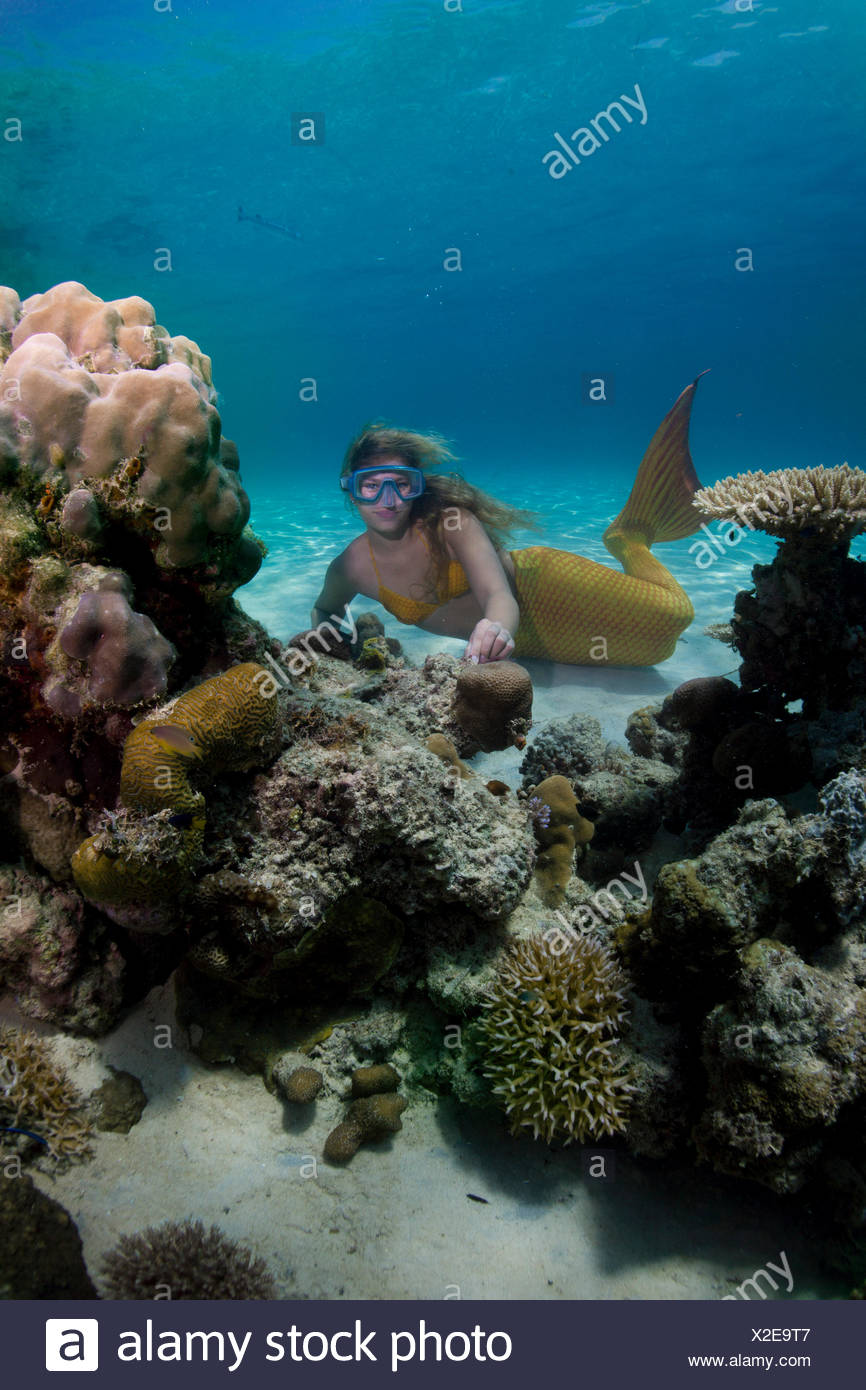 Diver Mermaid High Resolution Stock Photography and Images - Alamy