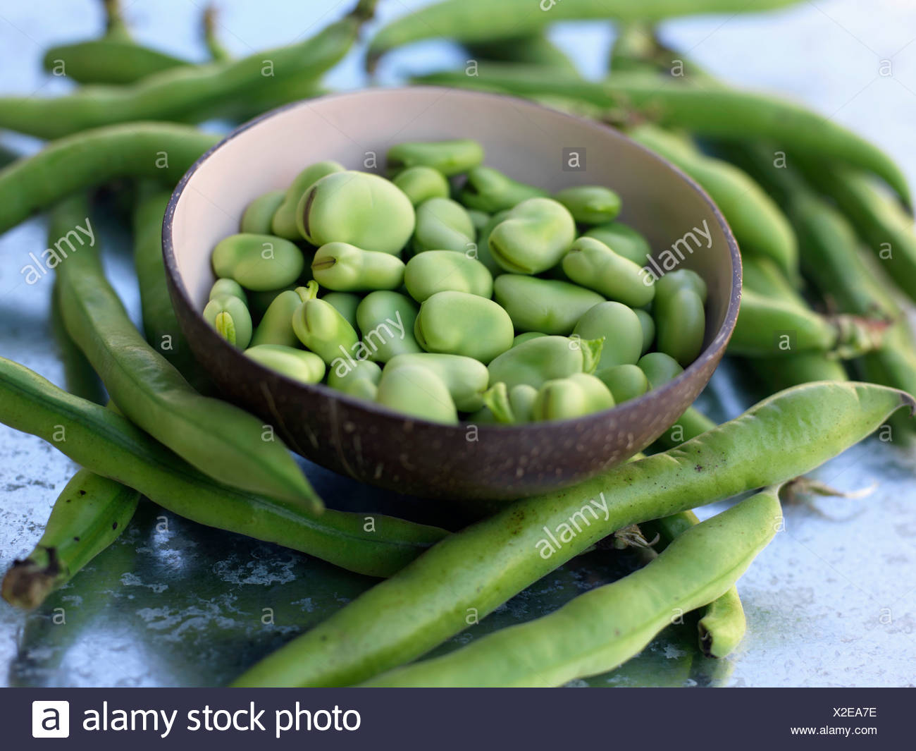 Broad Bean Pod High Resolution Stock Photography and Images - Alamy