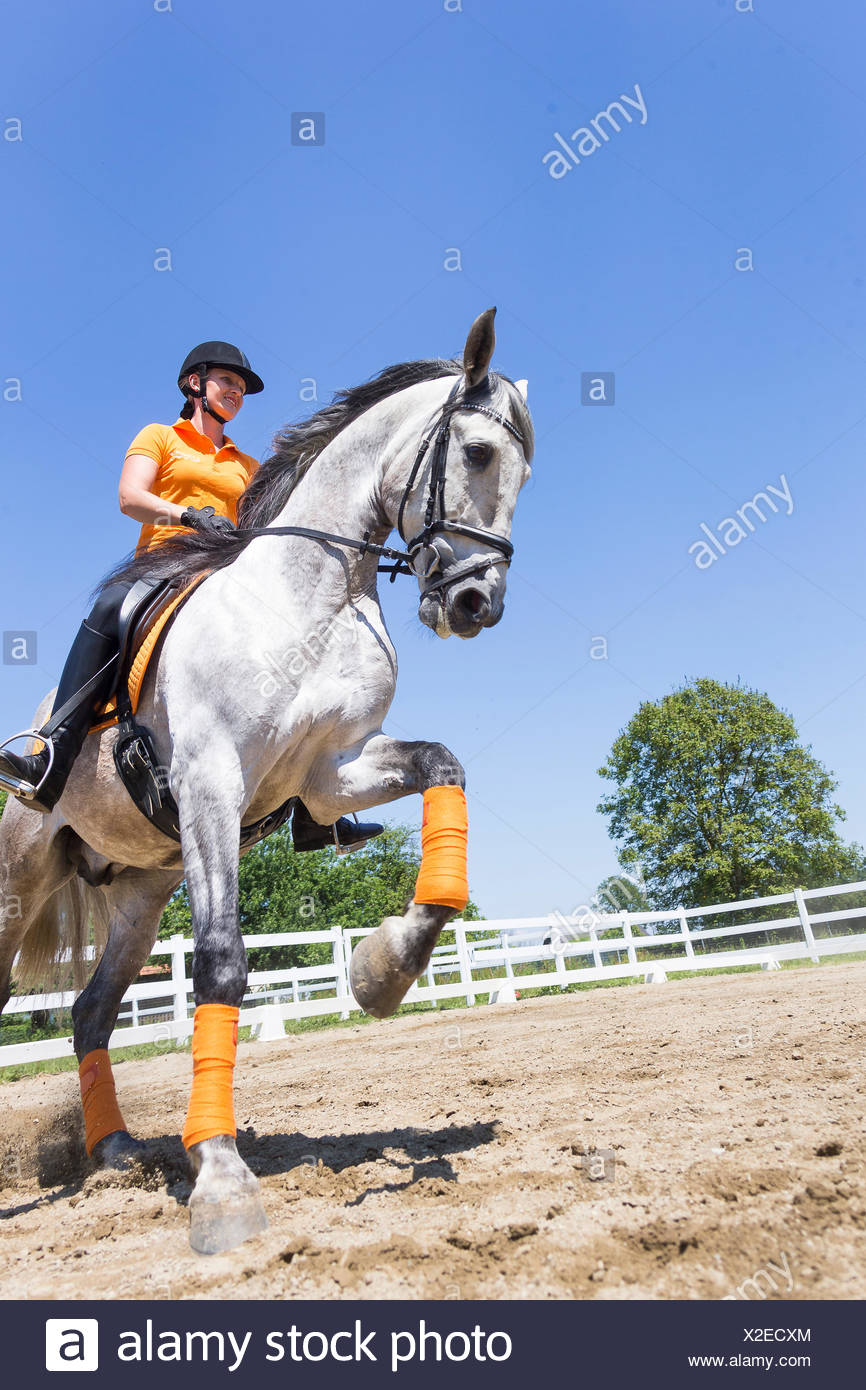 Spanish Horse Rider High Resolution Stock Photography and Images - Alamy