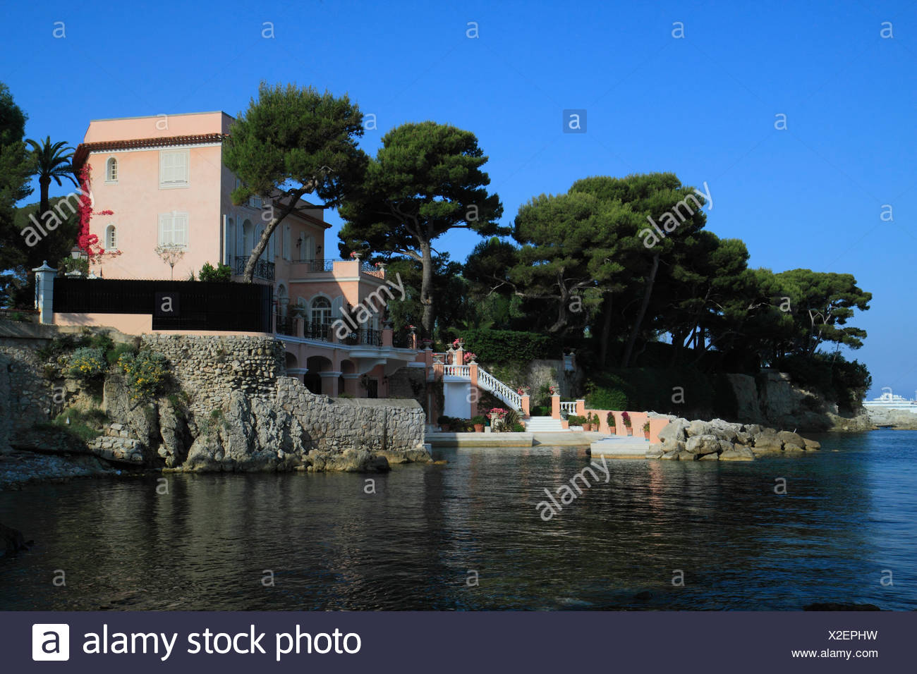 La Fleur Du Cap High Resolution Stock Photography and Images - Alamy