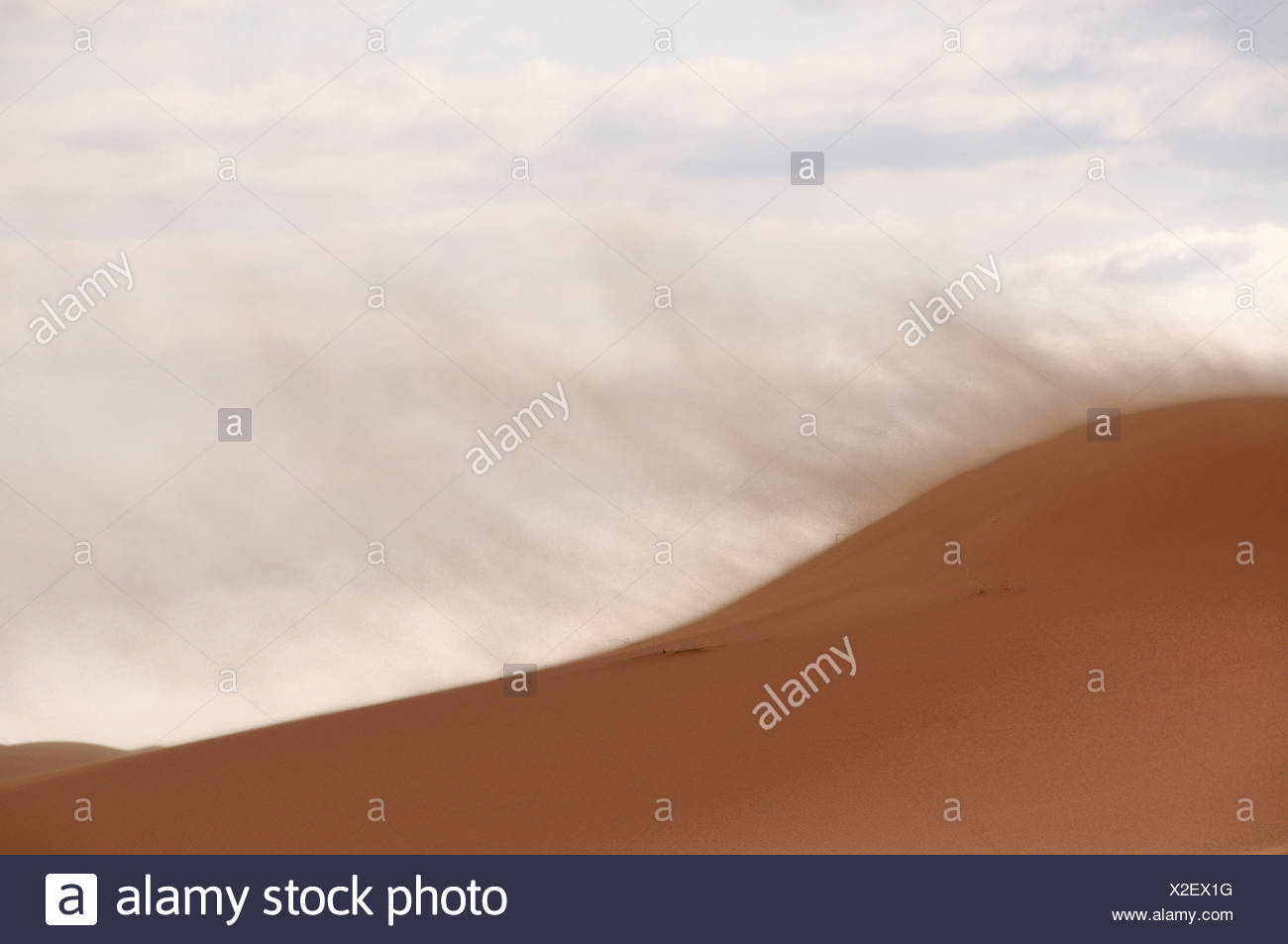 Sandstorm Sahara Stock Photos & Sandstorm Sahara Stock Images - Alamy