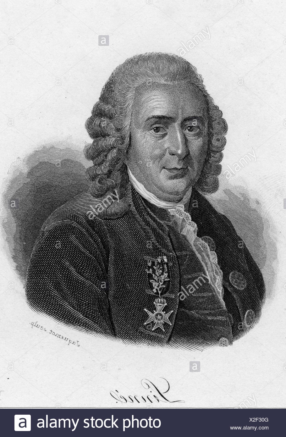 Carolus Linnaeus High Resolution Stock Photography and Images - Alamy