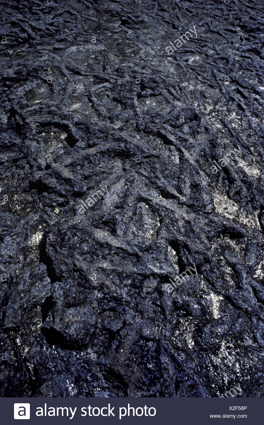 Worm Burrows Stock Photos & Worm Burrows Stock Images - Alamy