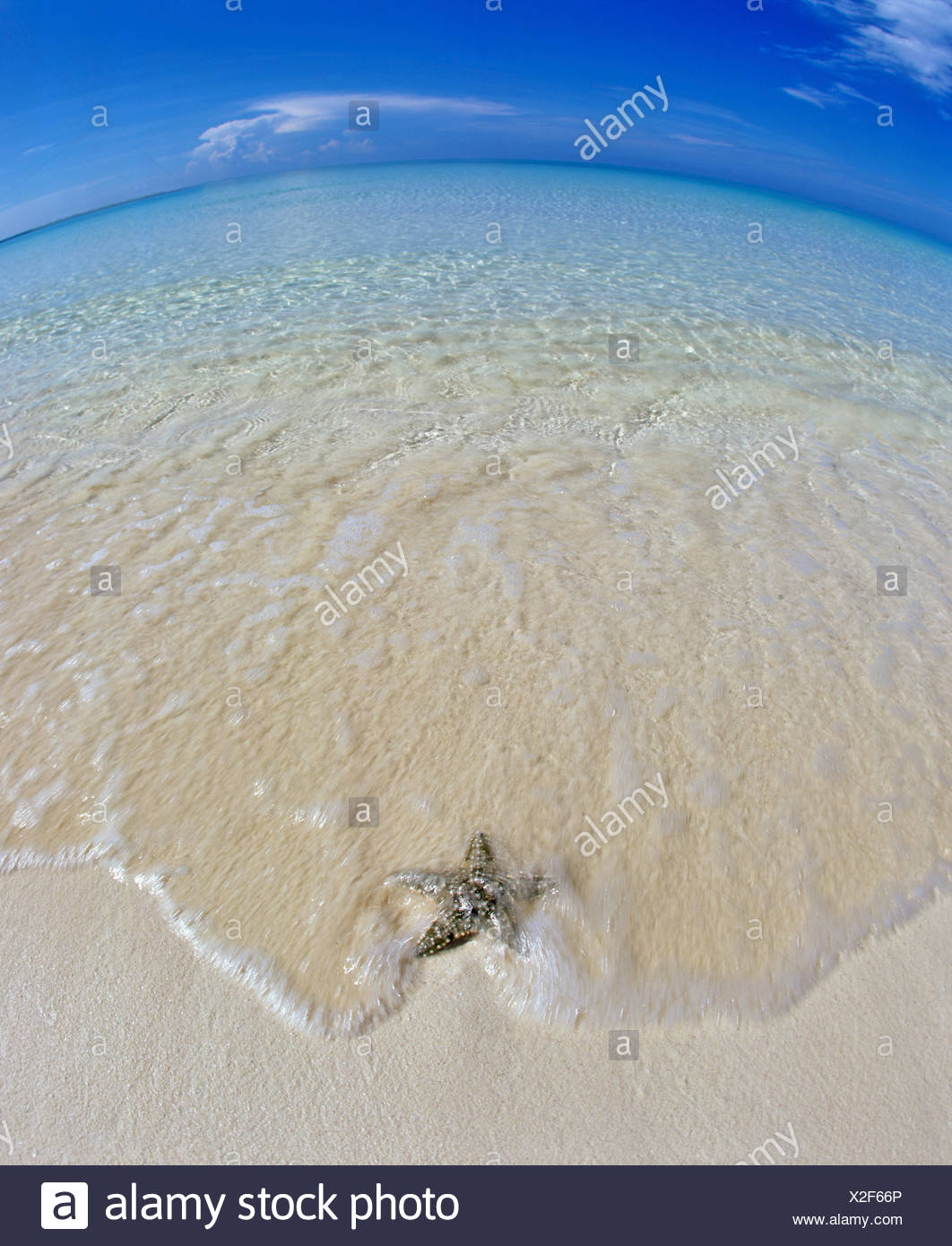 Shallow Perspective High Resolution Stock Photography and Images - Alamy