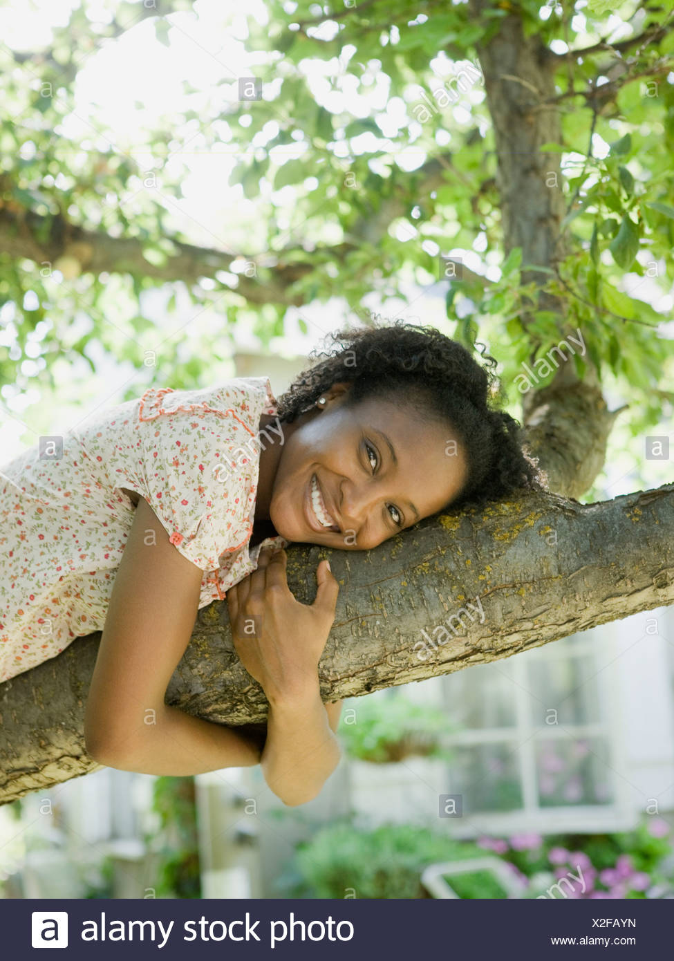 Lying In Tree Stock Photos & Lying In Tree Stock Images - Alamy