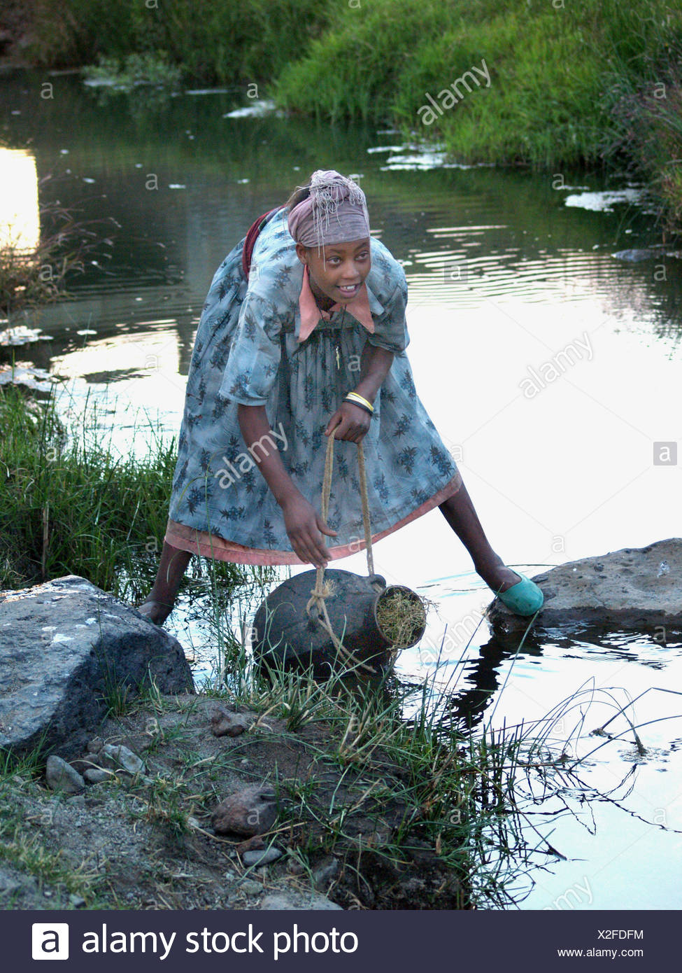 Animal Drinking Water Stream River High Resolution Stock Photography ...