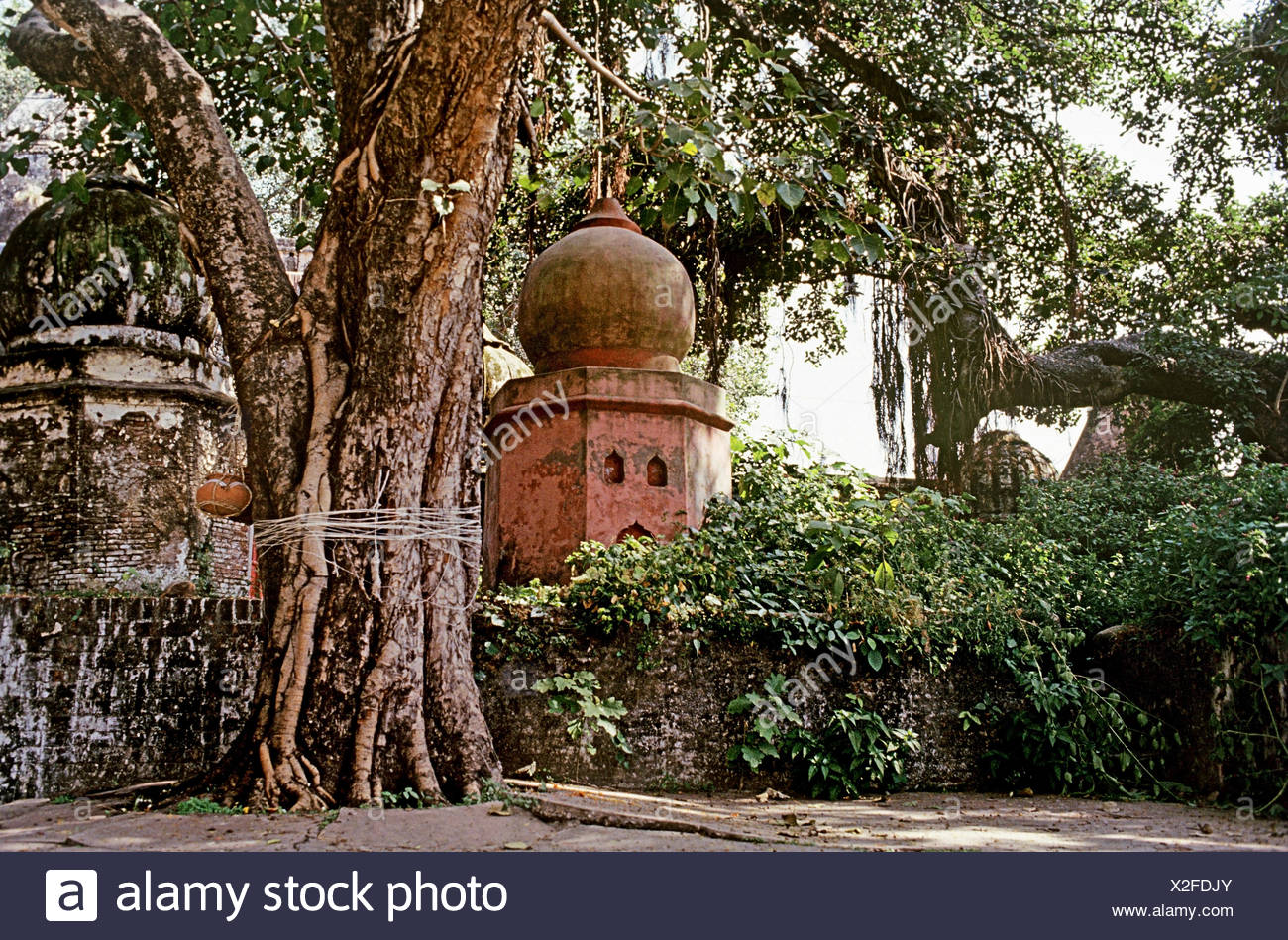 Sati Ritual High Resolution Stock Photography and Images - Alamy