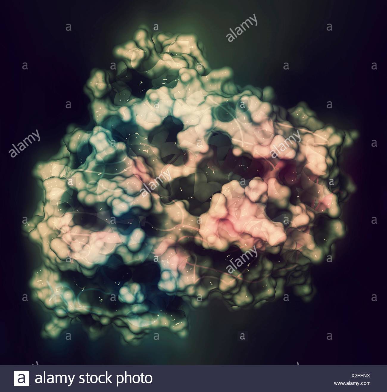 Enzyme Substrate Complex High Resolution Stock Photography and Images ...