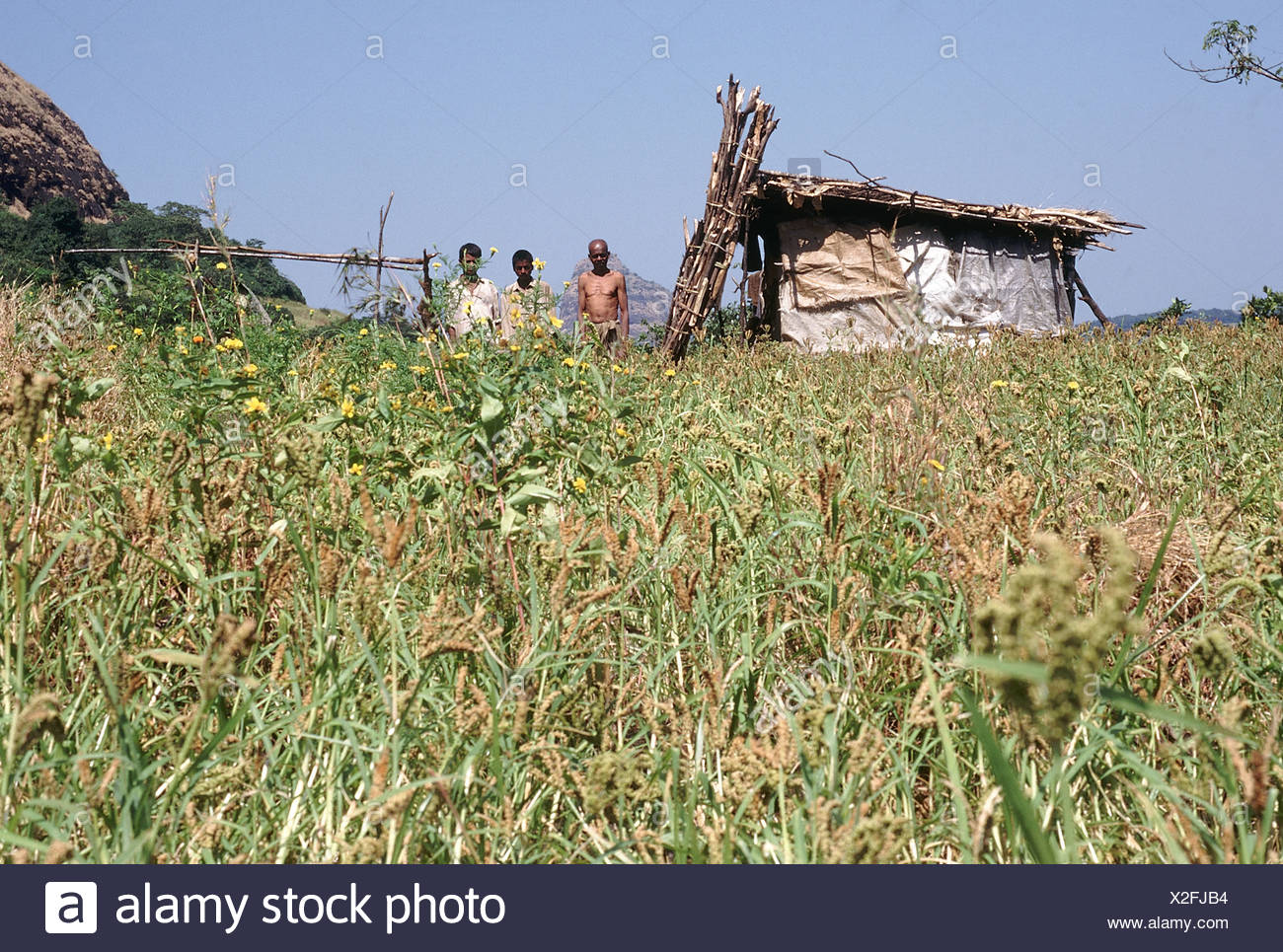 Shifting Cultivation High Resolution Stock Photography and Images - Alamy