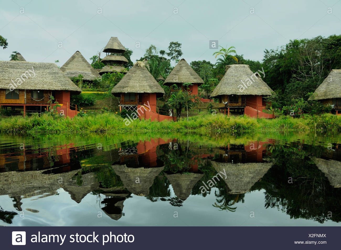 Napo Wildlife Center Ecuador High Resolution Stock Photography and ...