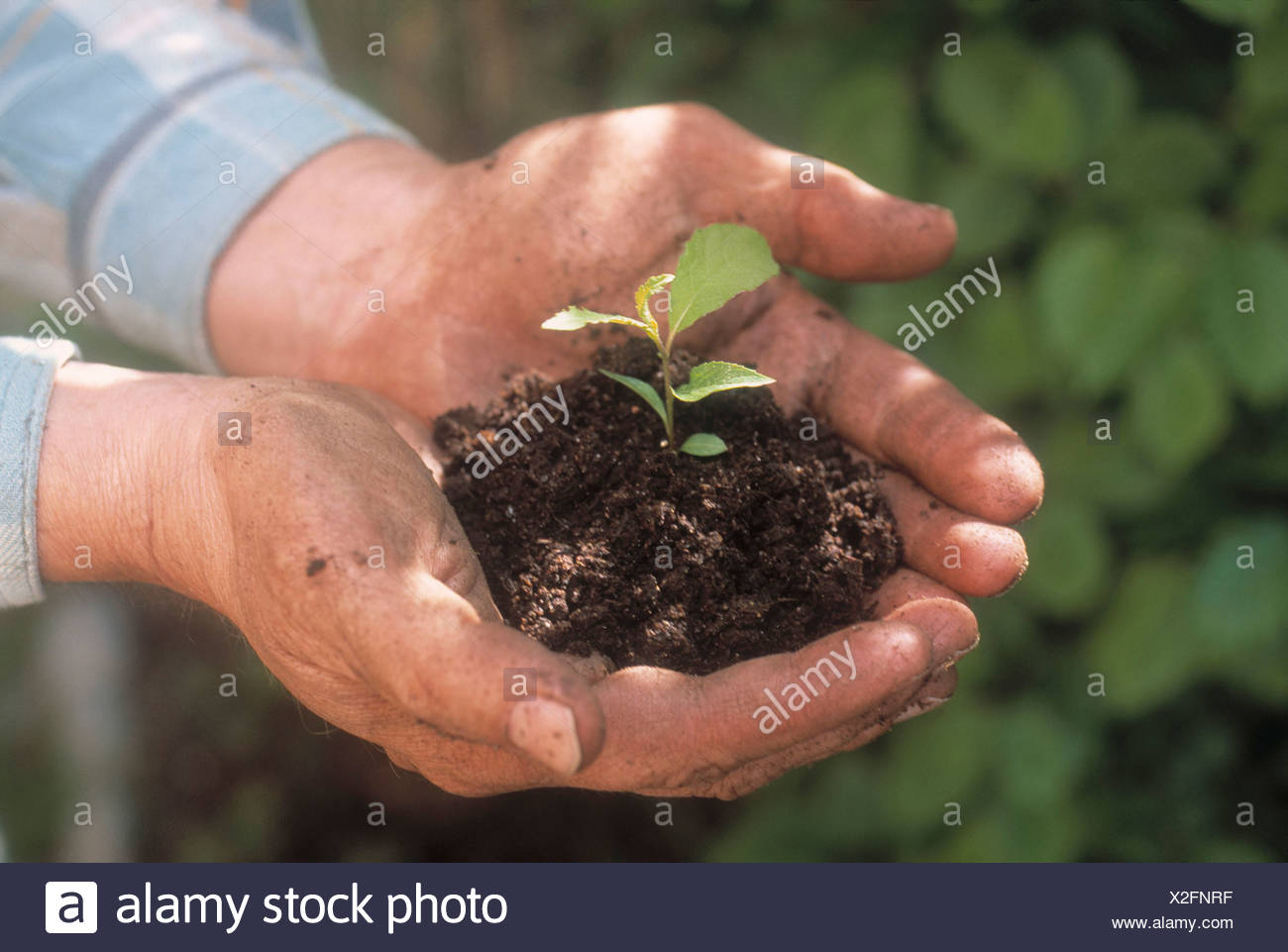 Cultivation Earth High Resolution Stock Photography and Images - Alamy