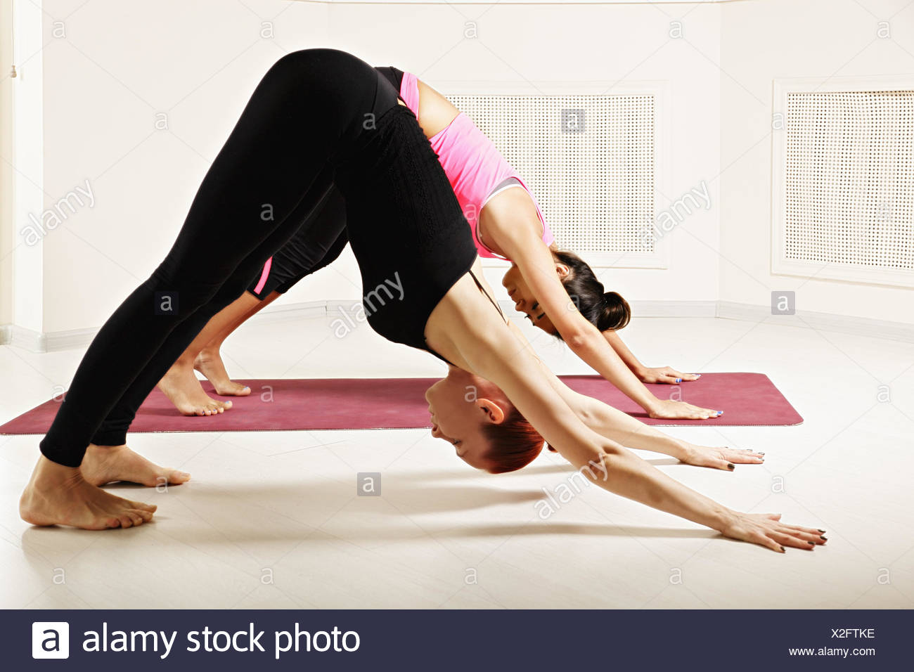 Facing Sideways High Resolution Stock Photography and Images - Alamy