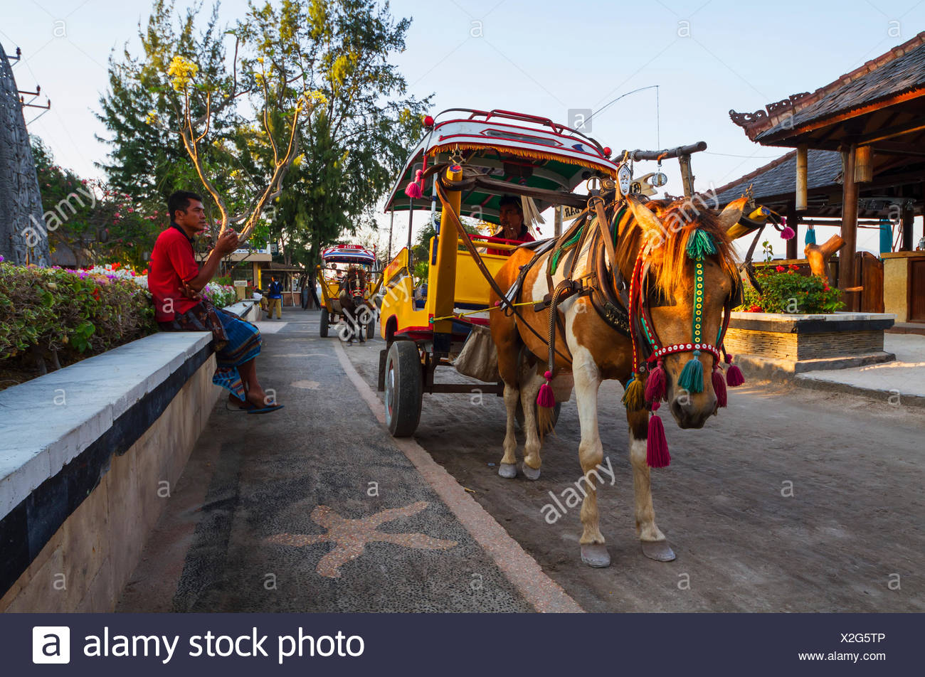 Cidomo Horse High Resolution Stock Photography and Images - Alamy