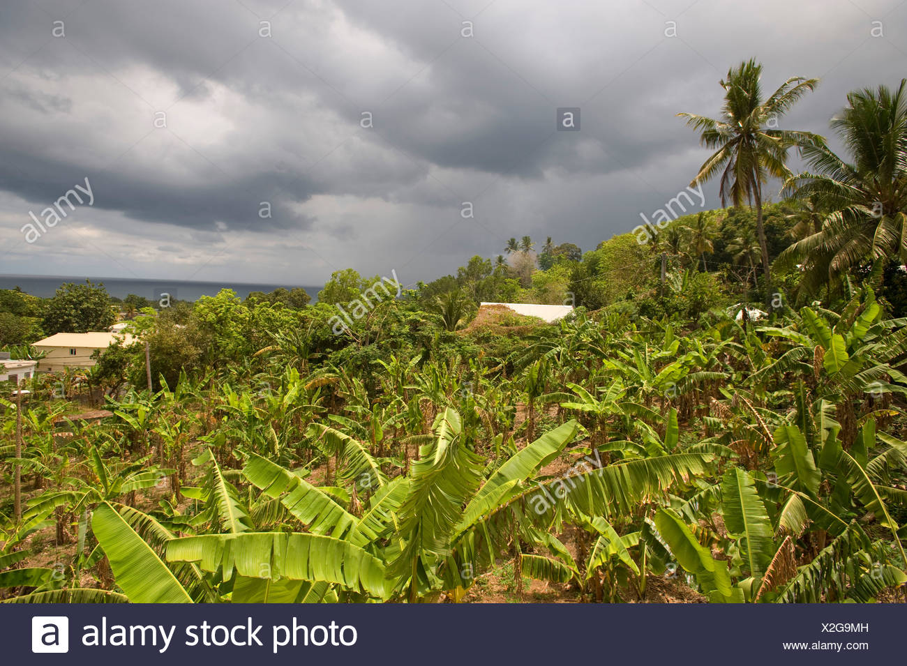 Kangani High Resolution Stock Photography and Images - Alamy