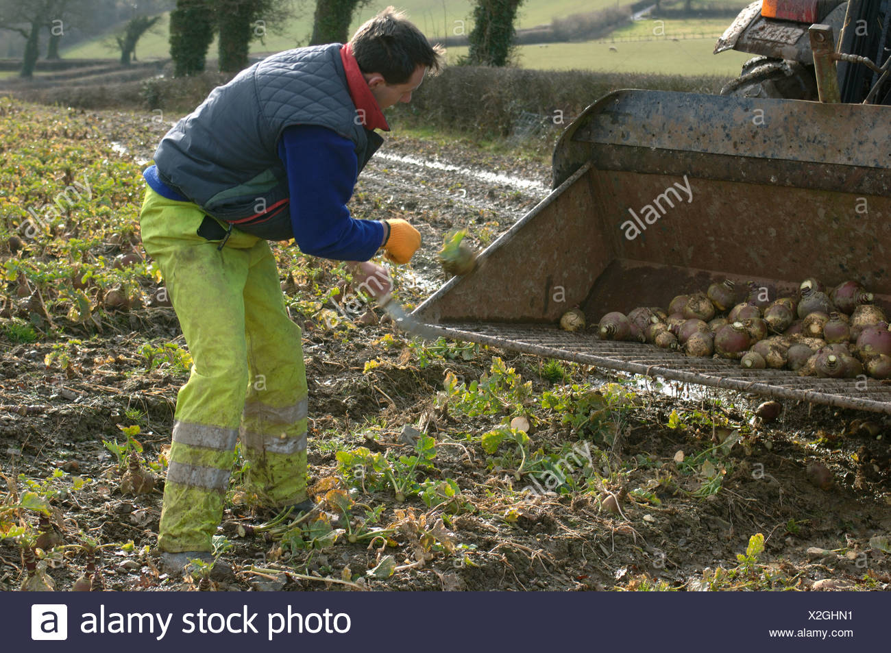 Swedish Farmers High Resolution Stock Photography and Images - Alamy