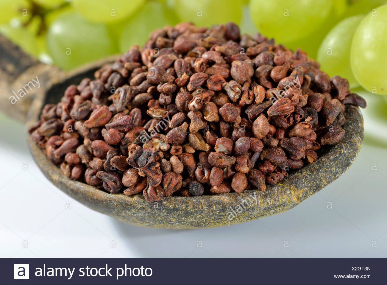 Vitis Vinifera Subsp Vinifera High Resolution Stock Photography and Images - Alamy