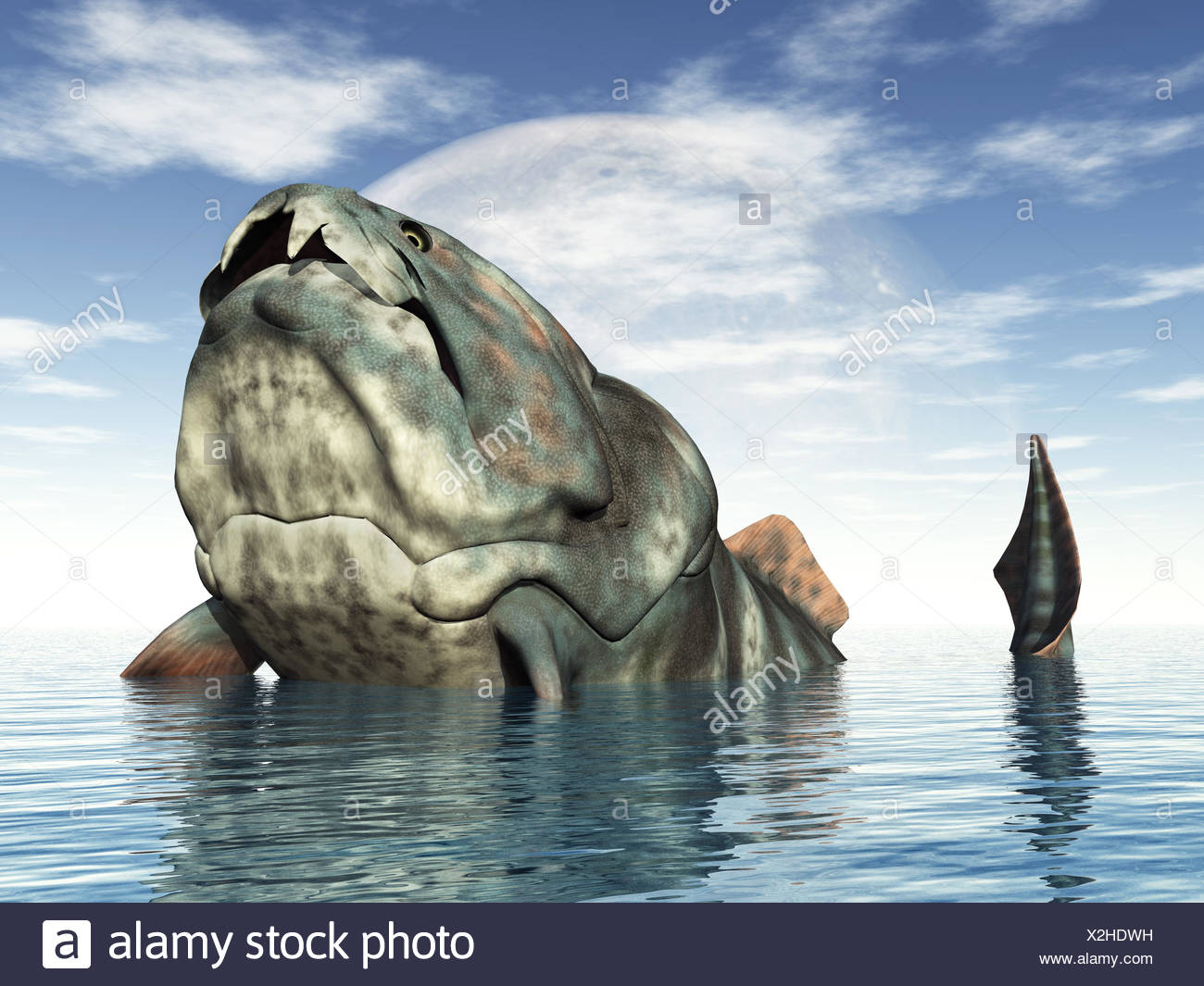 Panzerfisch High Resolution Stock Photography and Images - Alamy