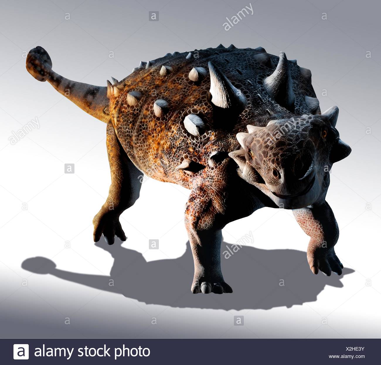Late Cretaceous Period Stock Photos & Late Cretaceous Period Stock ...