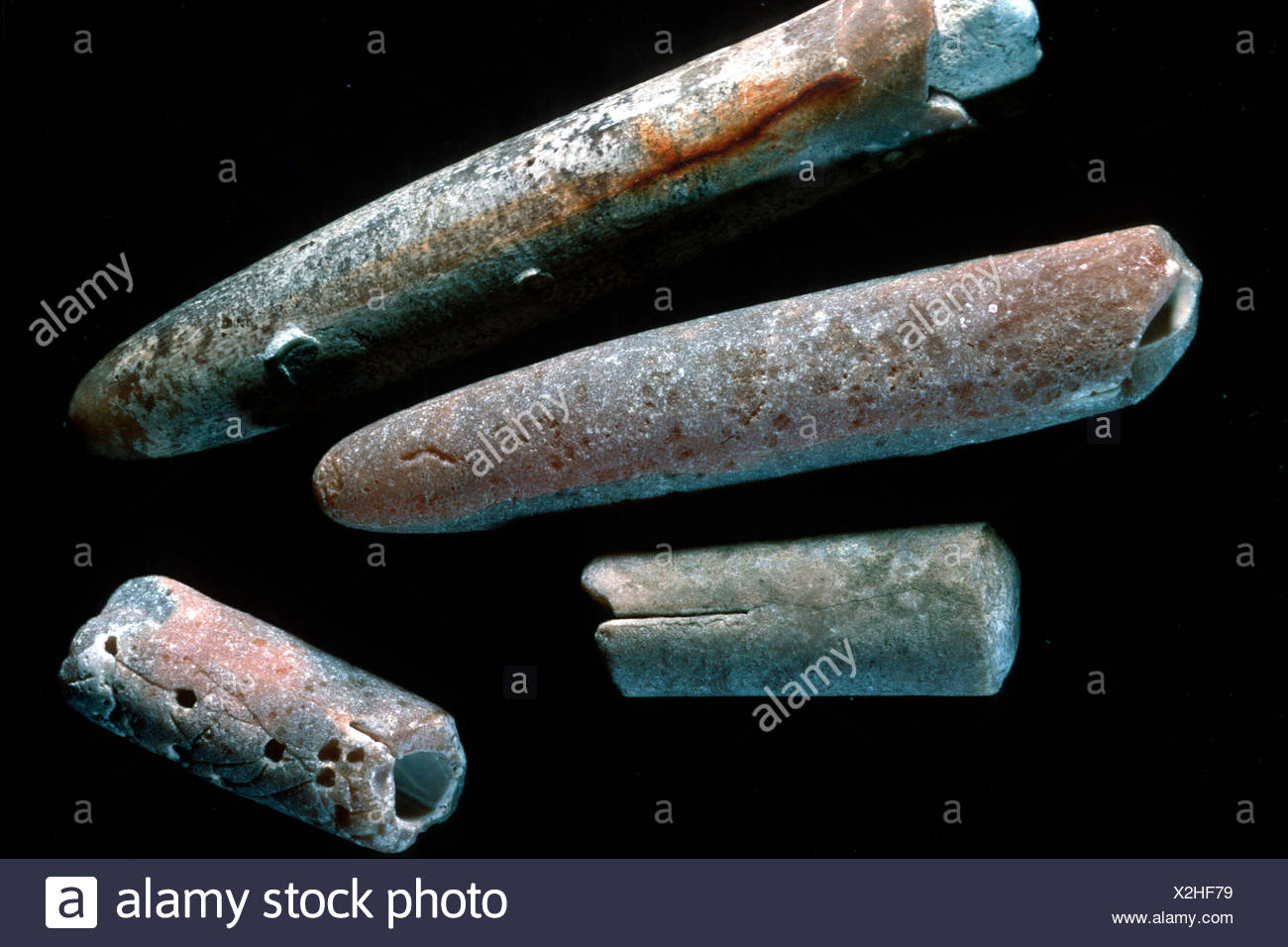 Belemnites And Fossils High Resolution Stock Photography and Images - Alamy