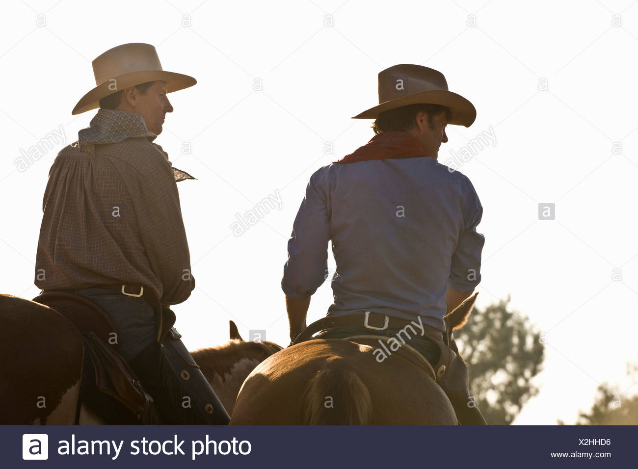 Two Cowboys Riding Horses High Resolution Stock Photography and Images ...
