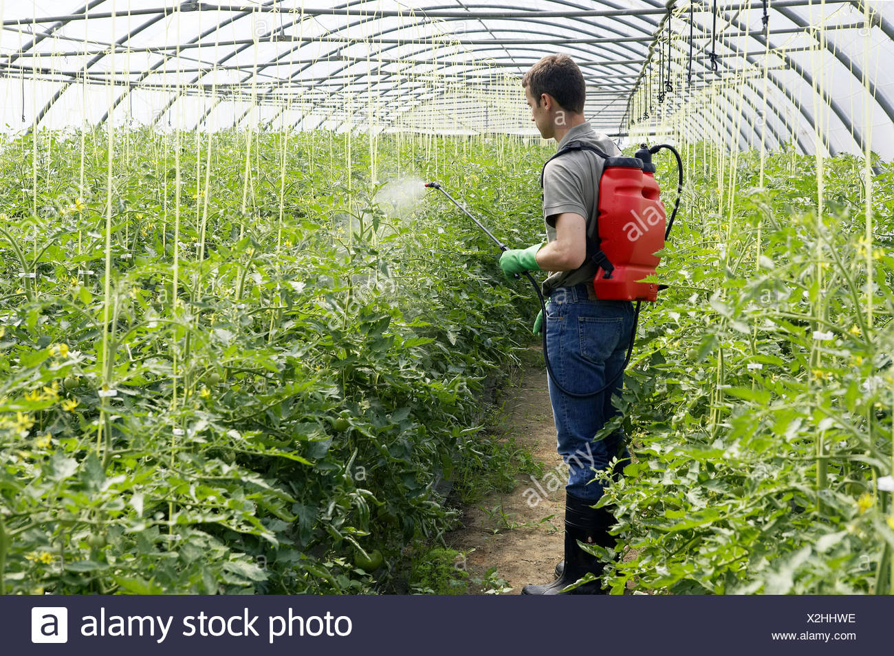 Sprayer Insecticides Stock Photos & Sprayer Insecticides Stock Images ...