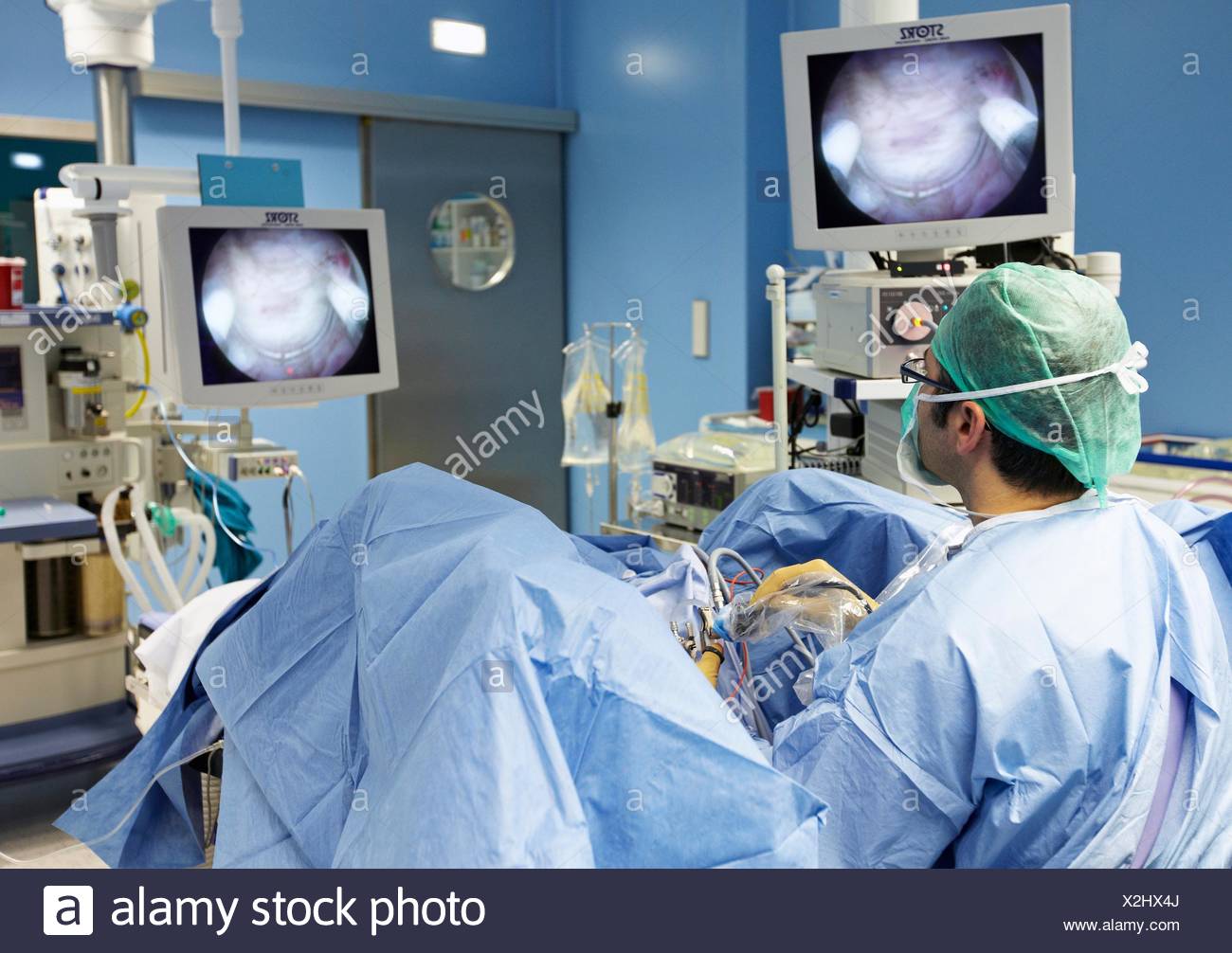 Turp Stock Photos & Turp Stock Images - Alamy