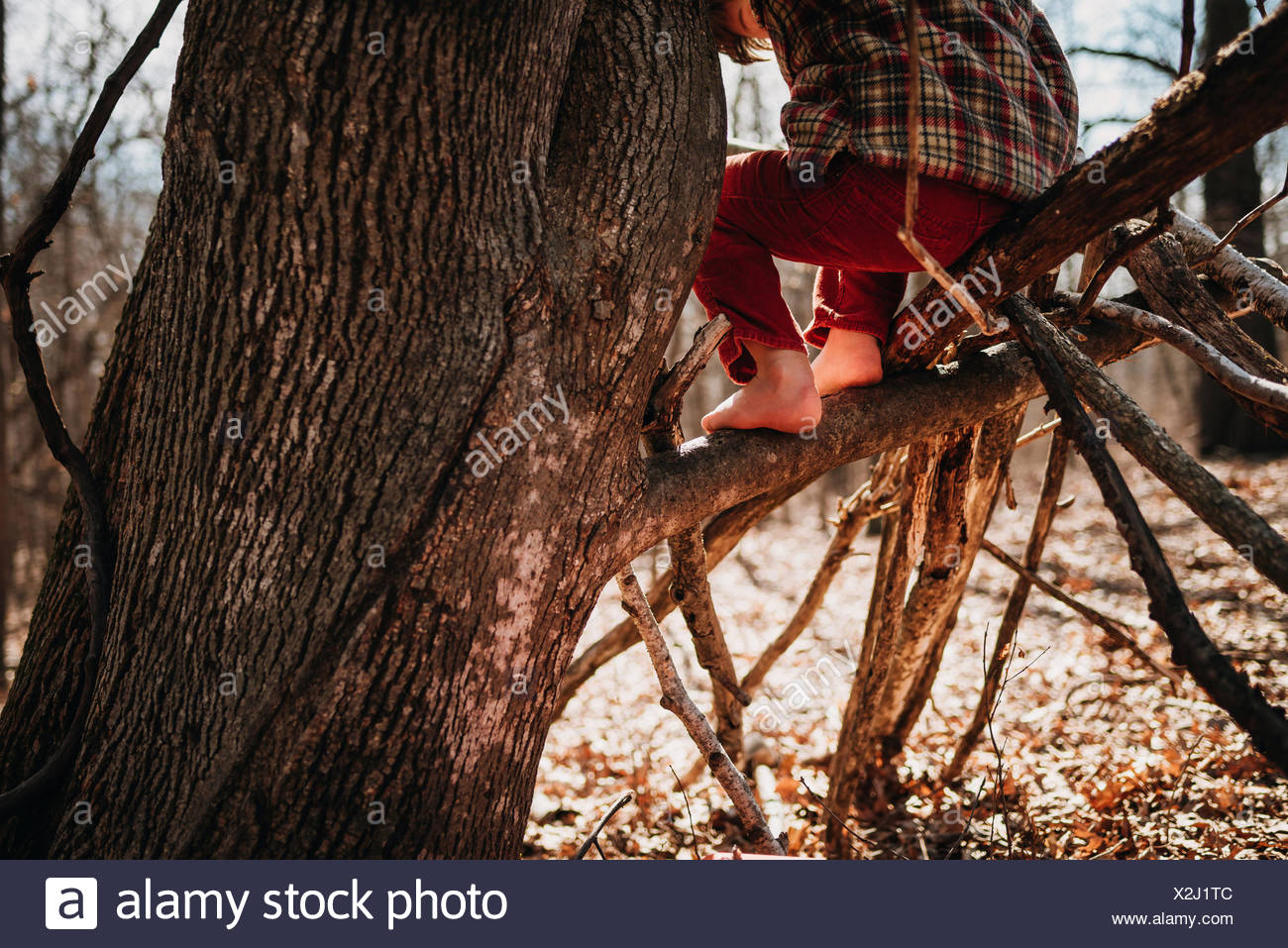 Boy Climbing Tree Barefoot High Resolution Stock Photography and Images ...