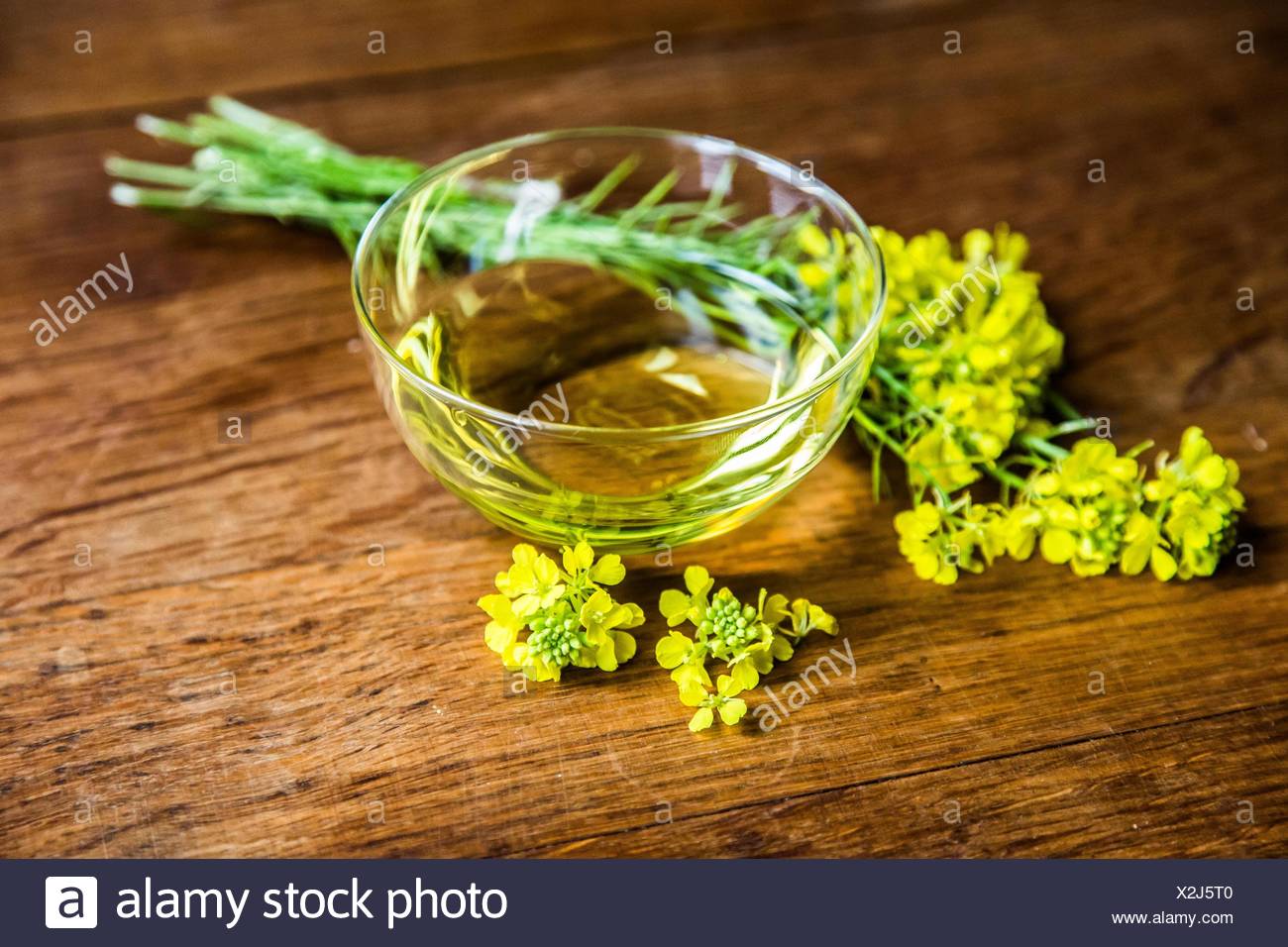 Colza Oil High Resolution Stock Photography and Images - Alamy