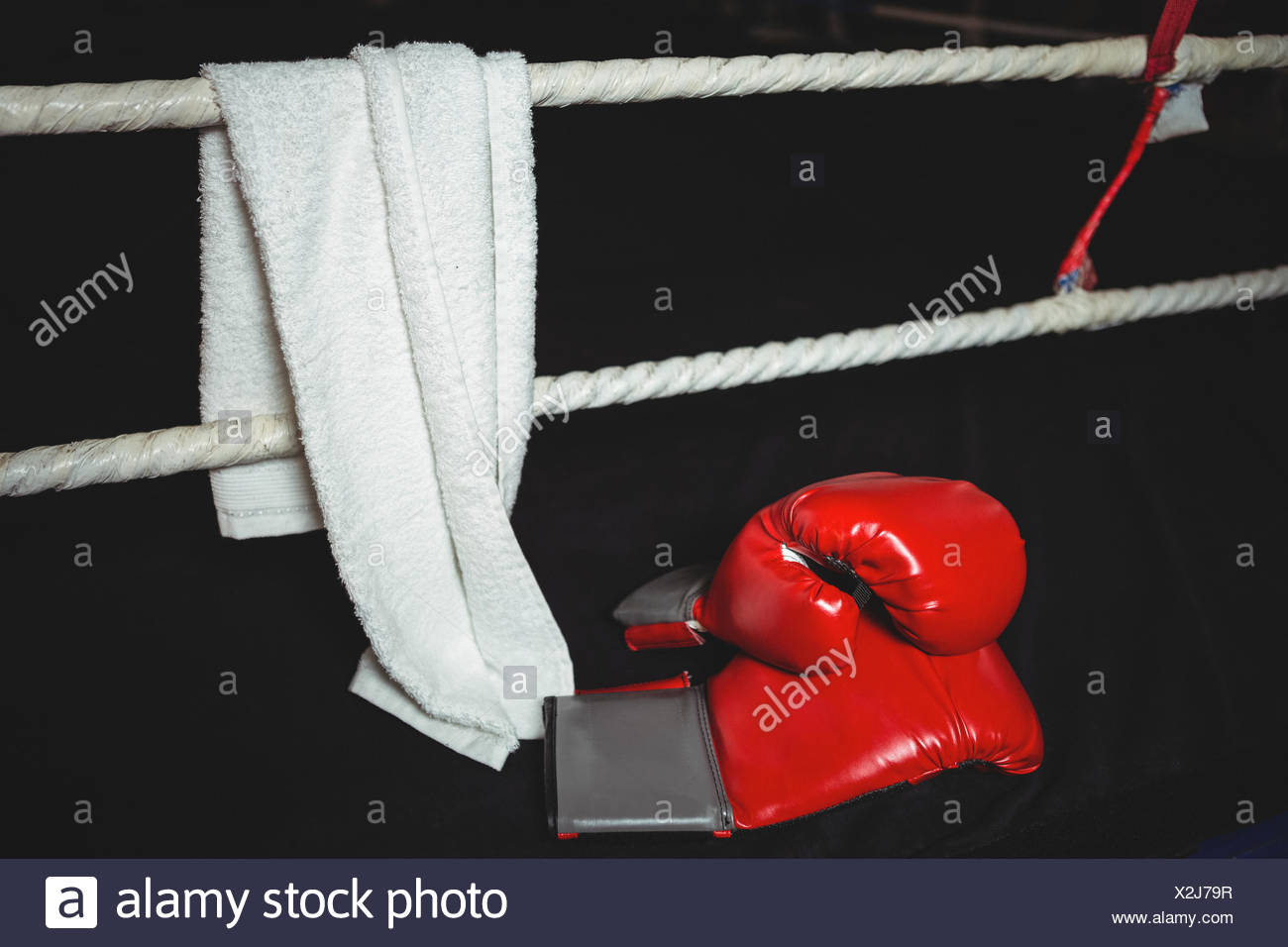 Boxing Ring Towel High Resolution Stock Photography and Images - Alamy