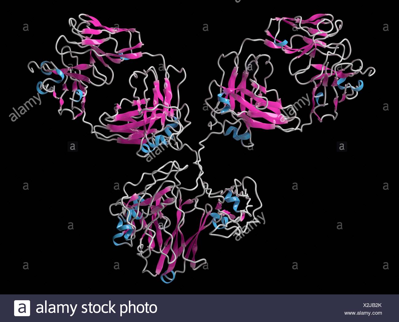 Elisa Structure High Resolution Stock Photography and Images - Alamy