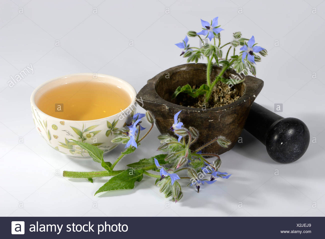 Borage Tea Stock Photos & Borage Tea Stock Images - Alamy