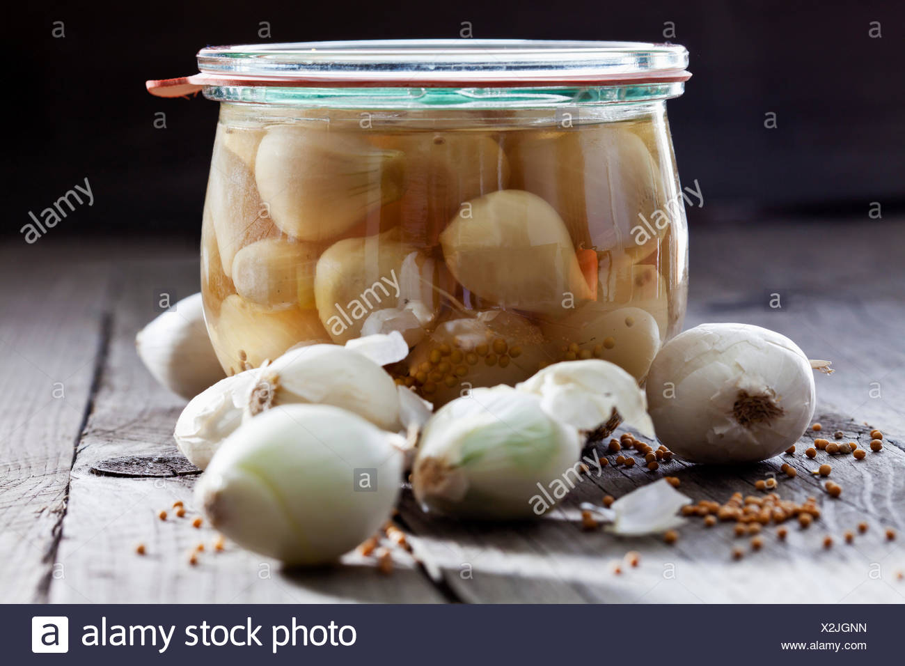 Silverskin Stock Photos & Silverskin Stock Images - Alamy