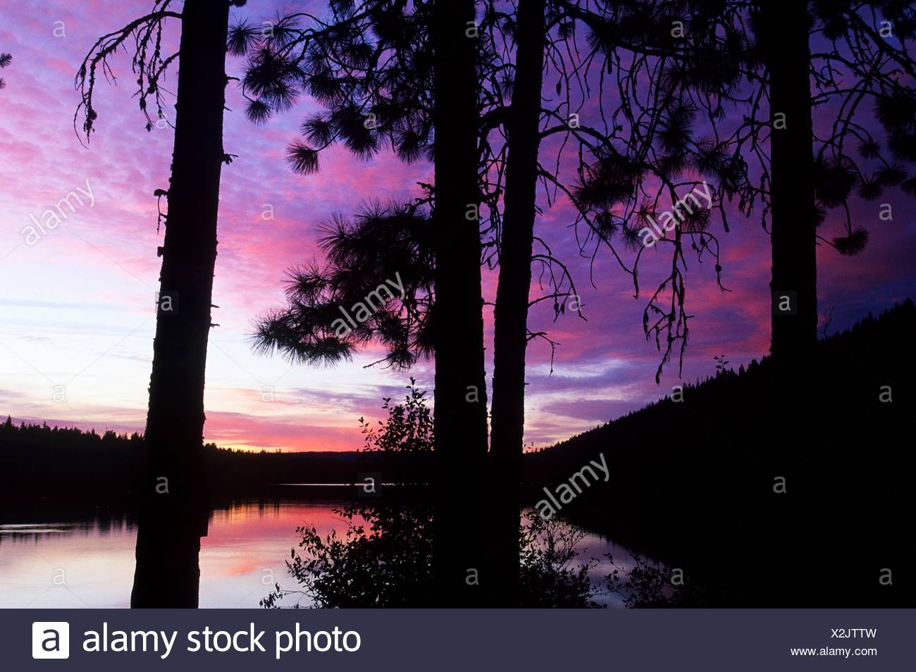 Suttle Stock Photos & Suttle Stock Images - Alamy